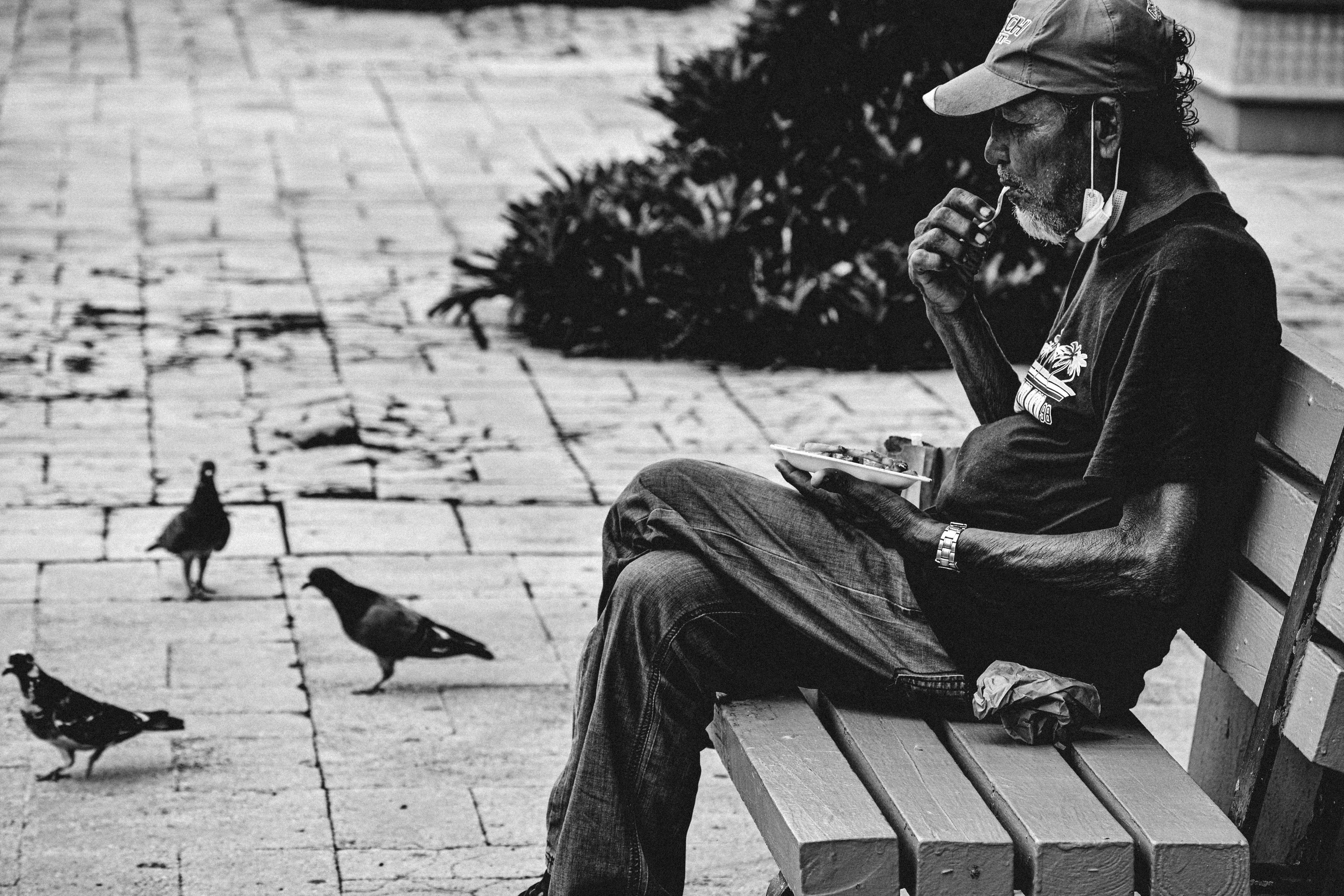 A Quiet Exchange: Pigeons and the Weathered Man on a City Bench