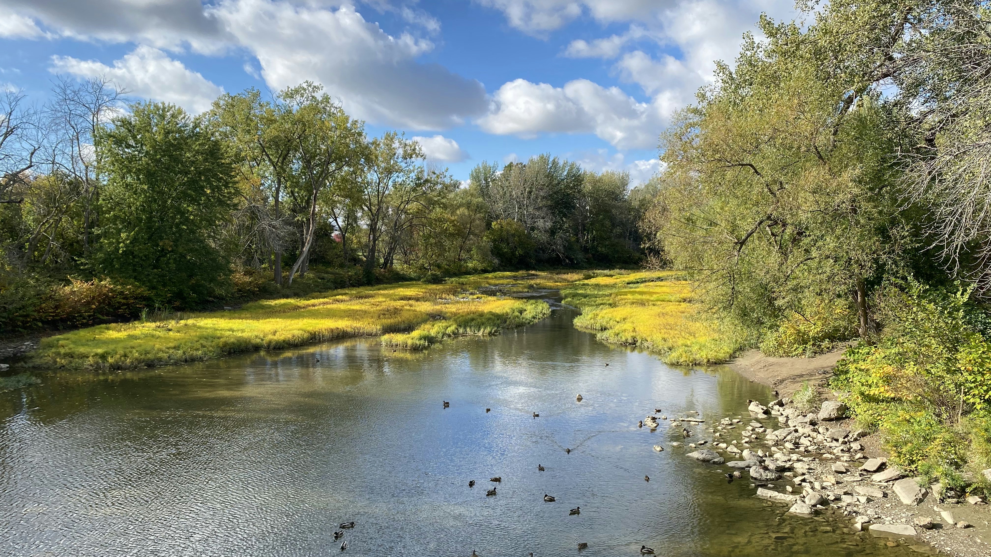 River Meander Framed by Gold-Threaded Banks at Spring Light
