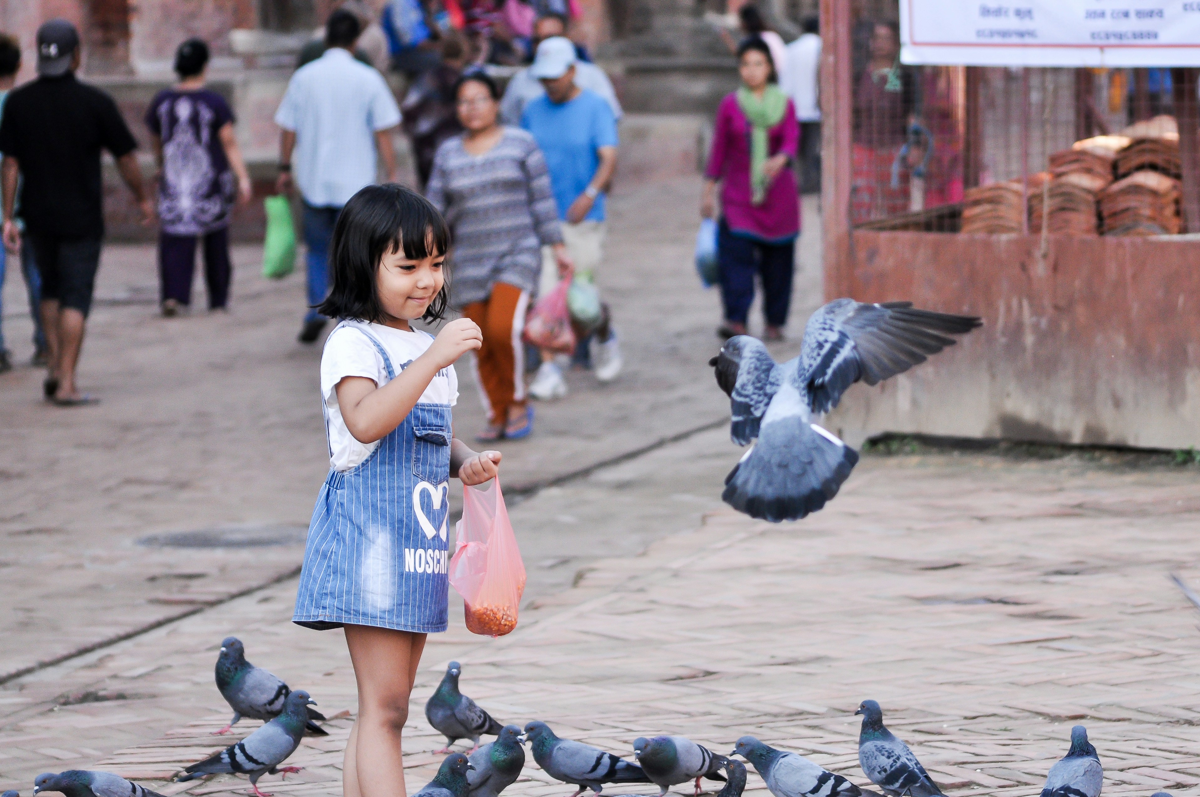 Child in a white and blue dress feeding pigeons on a stone pathway.