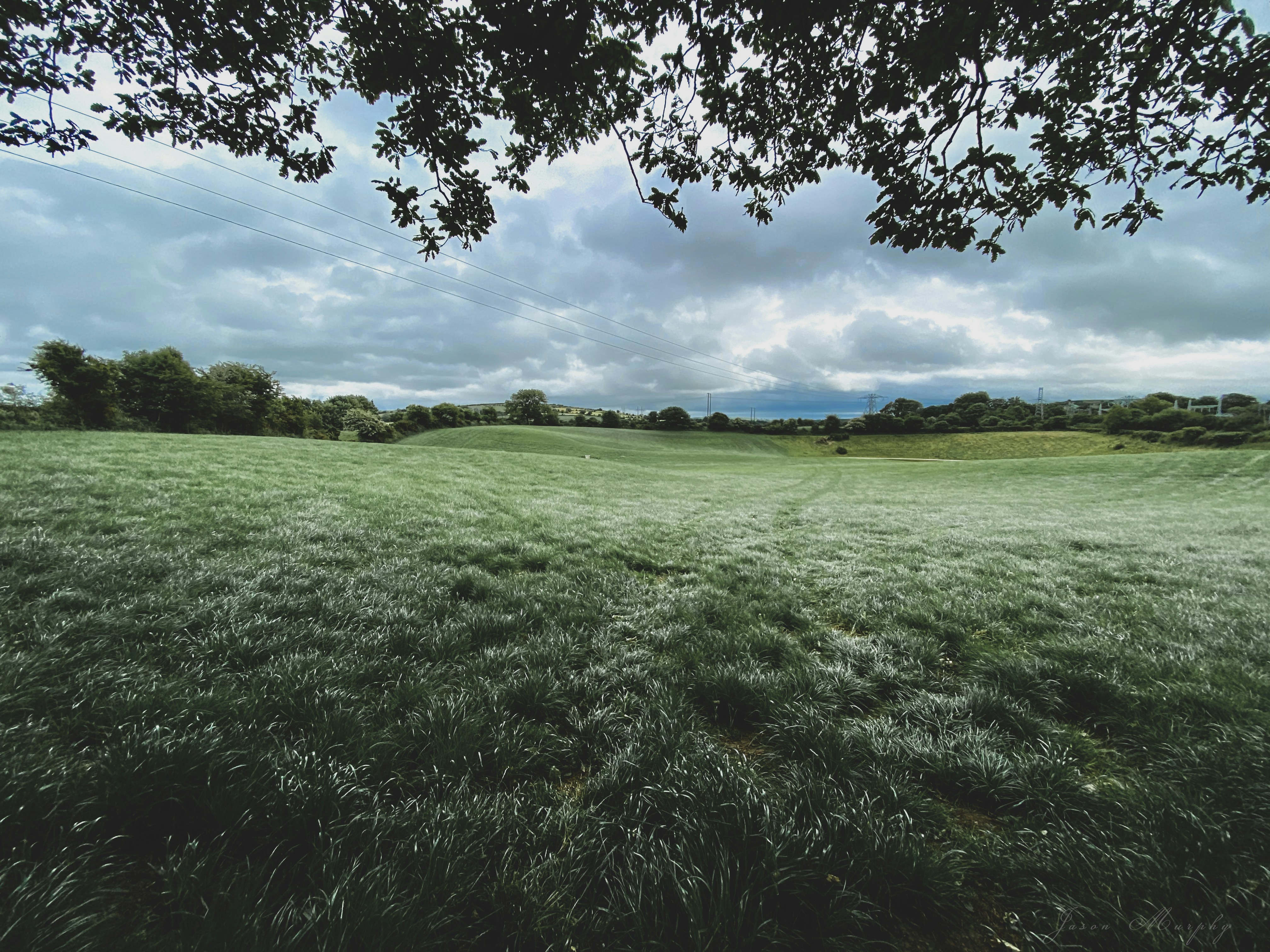 500+ Low Contrast Pictures | Download Free Images on Unsplash