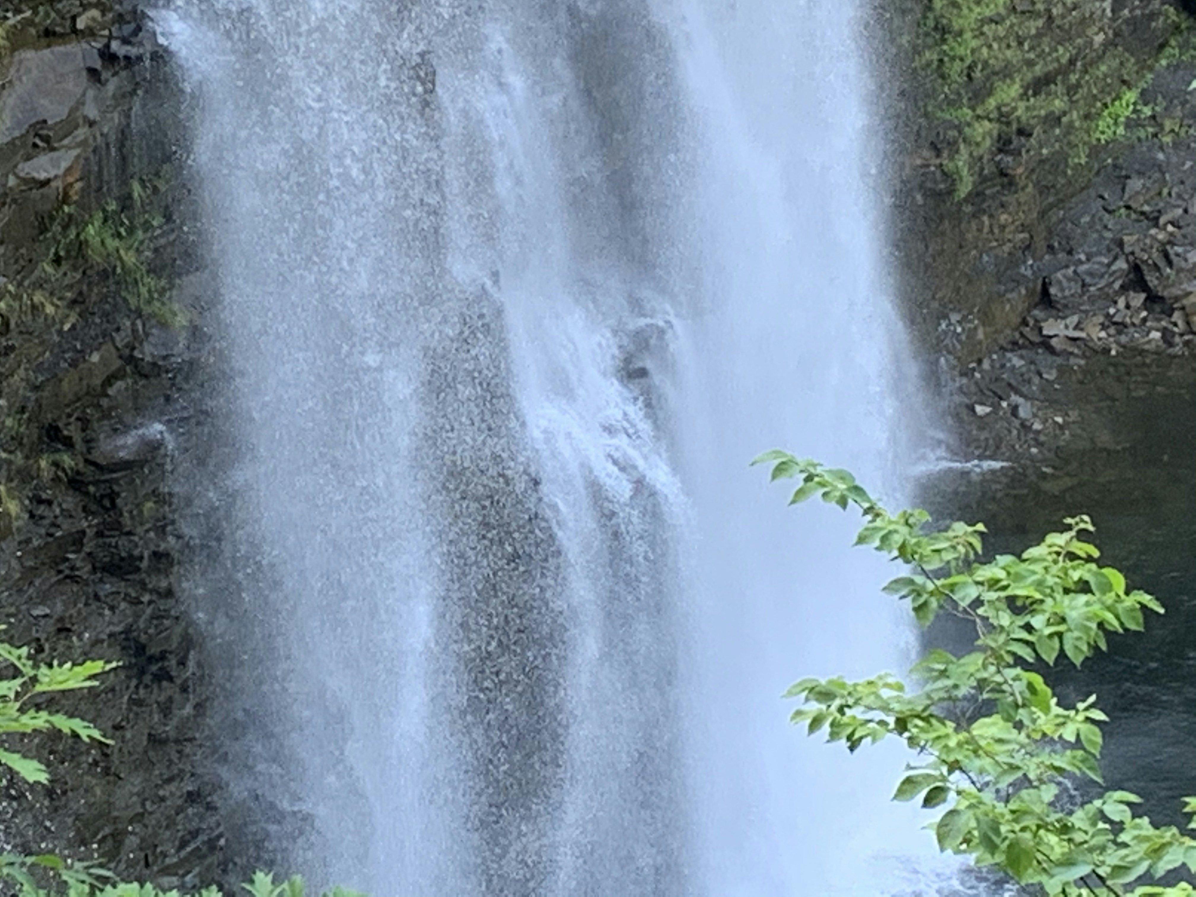 Waterfall cascading into a rocky pool surrounded by lush green foliage.