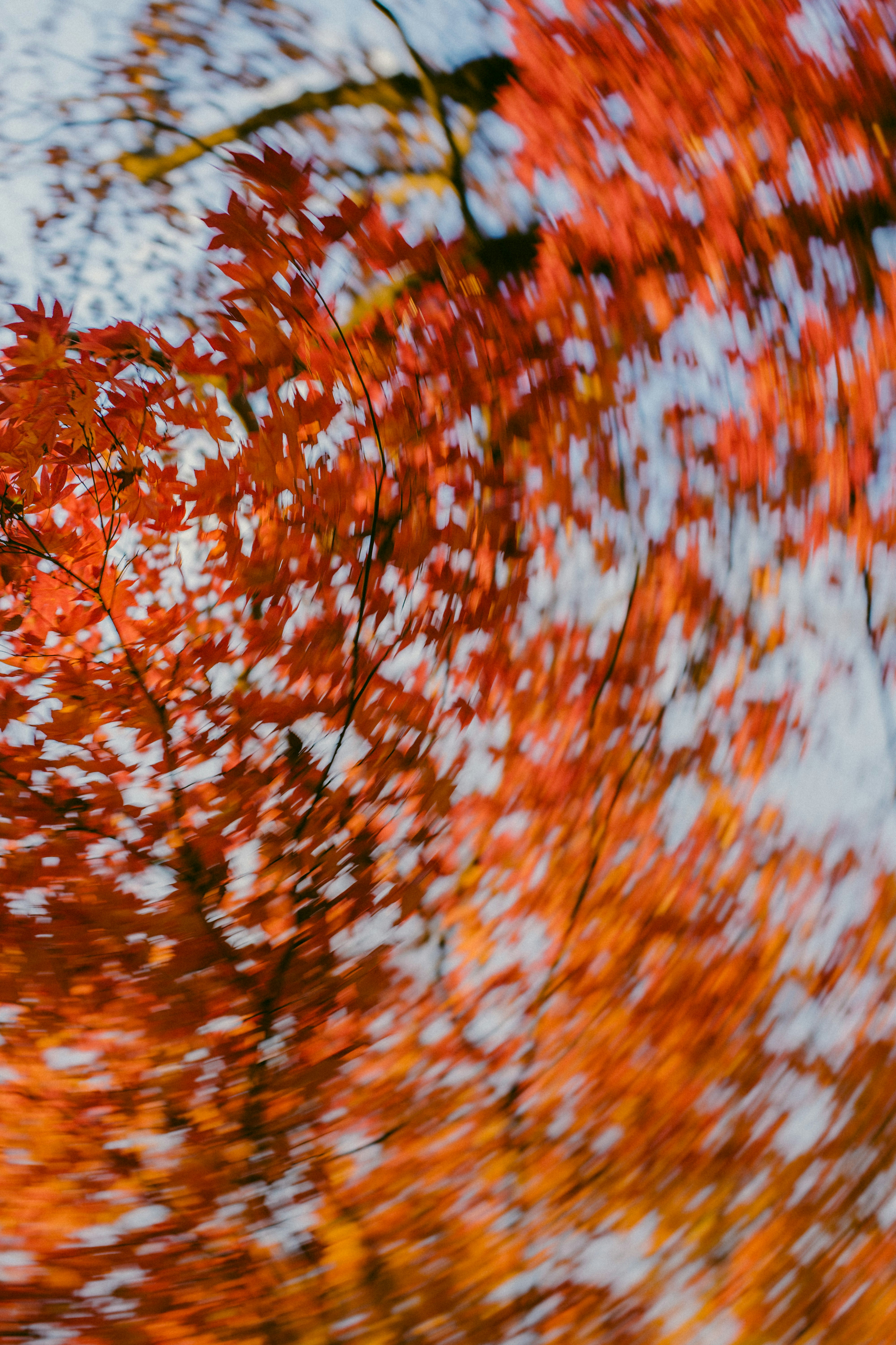 Fall Aesthetic Pictures | Download Free Images on Unsplash