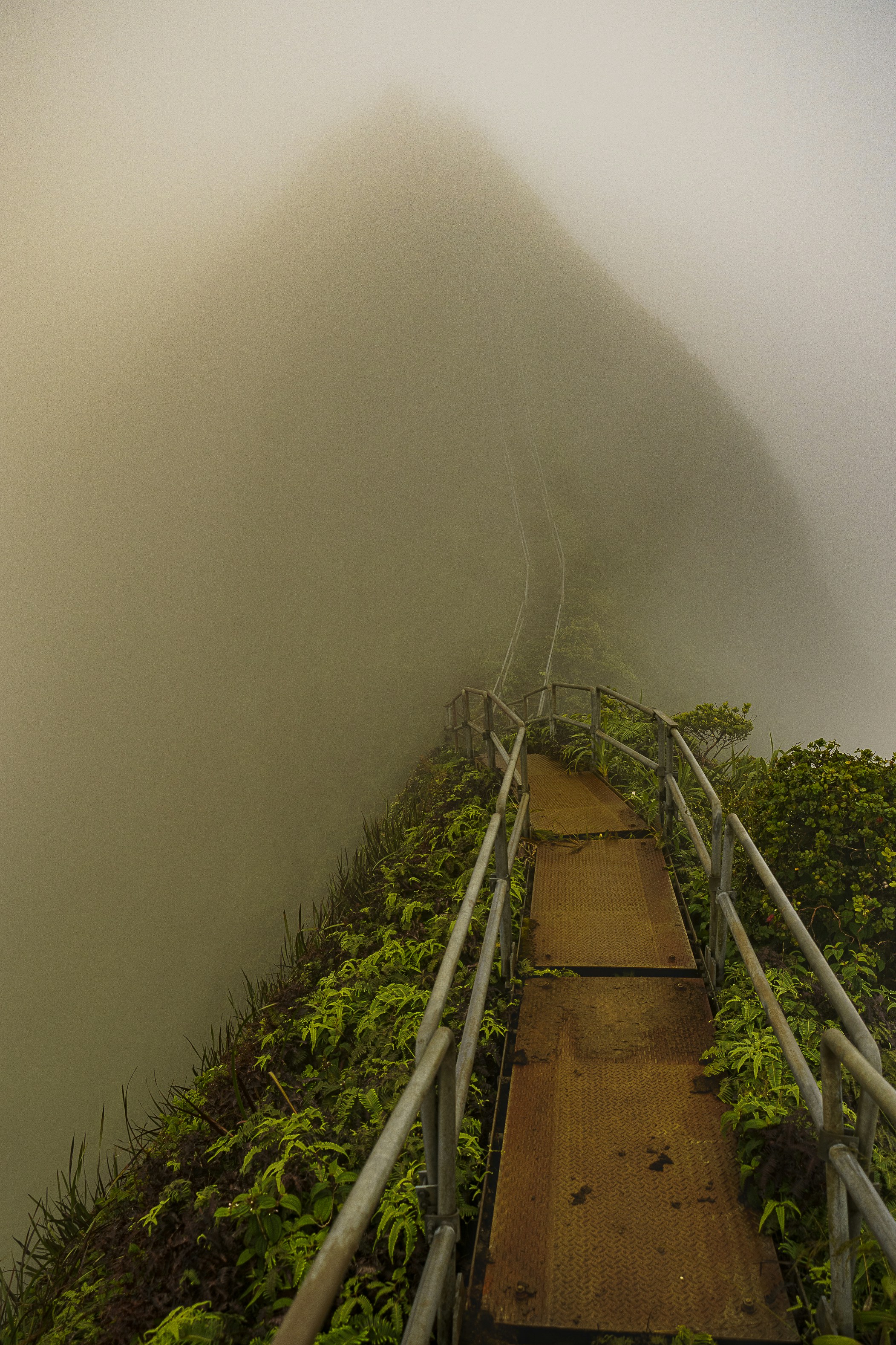 Bridge Through the Veil: A Narrow Cliffside Walk Vanishing into Mist