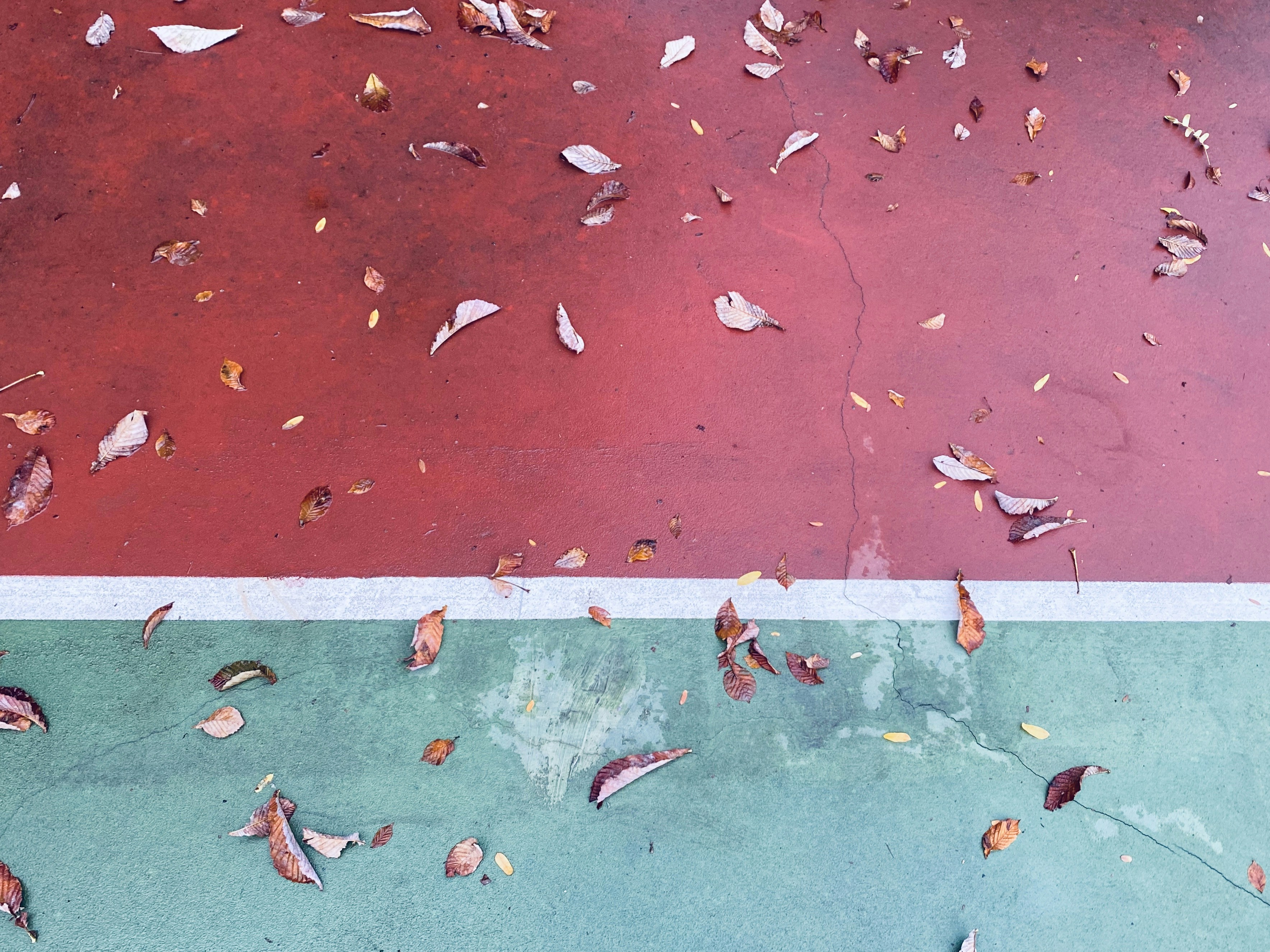 Crimson to Teal: A Quiet Boundary Between Road Surfaces