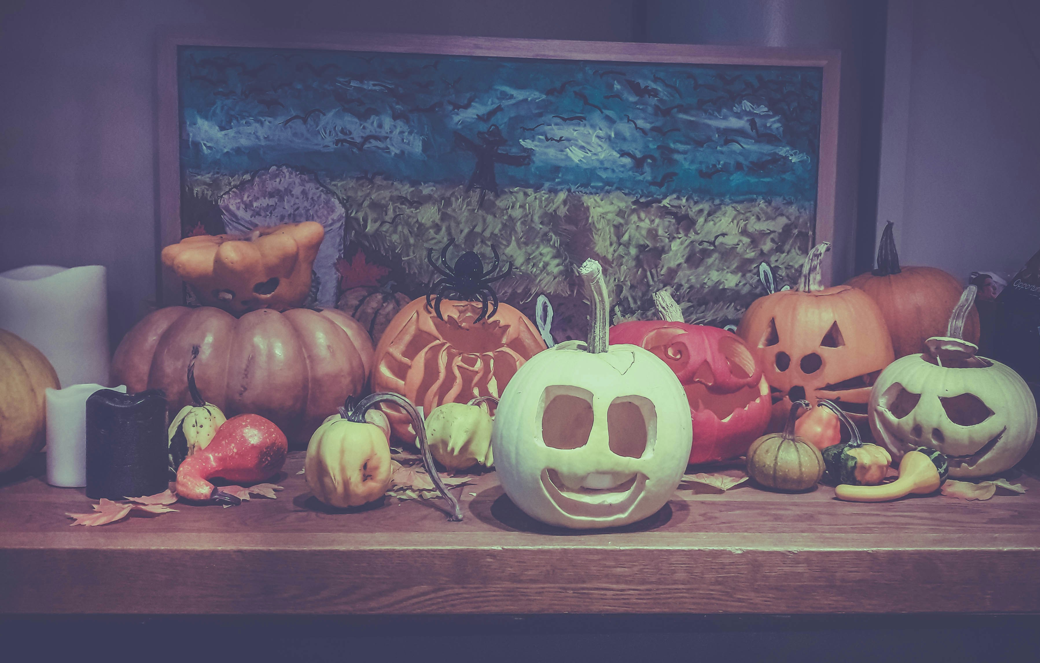 Pumpkin Parade in a Cozy Autumn Still Life