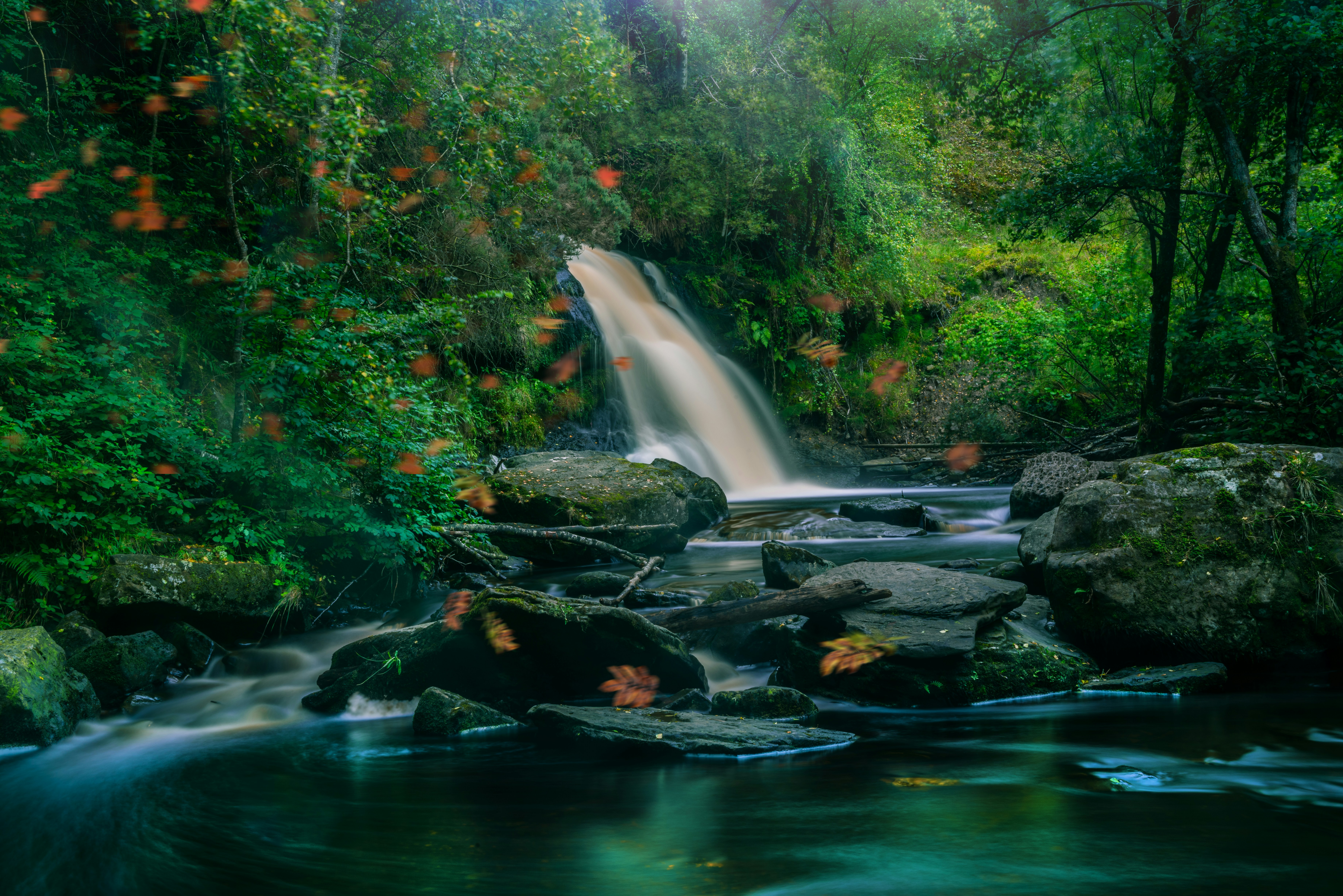 Gentle waterfall flows into a rocky stream surrounded by lush greenery, with blurred autumn leaves adding a sense of motion.
