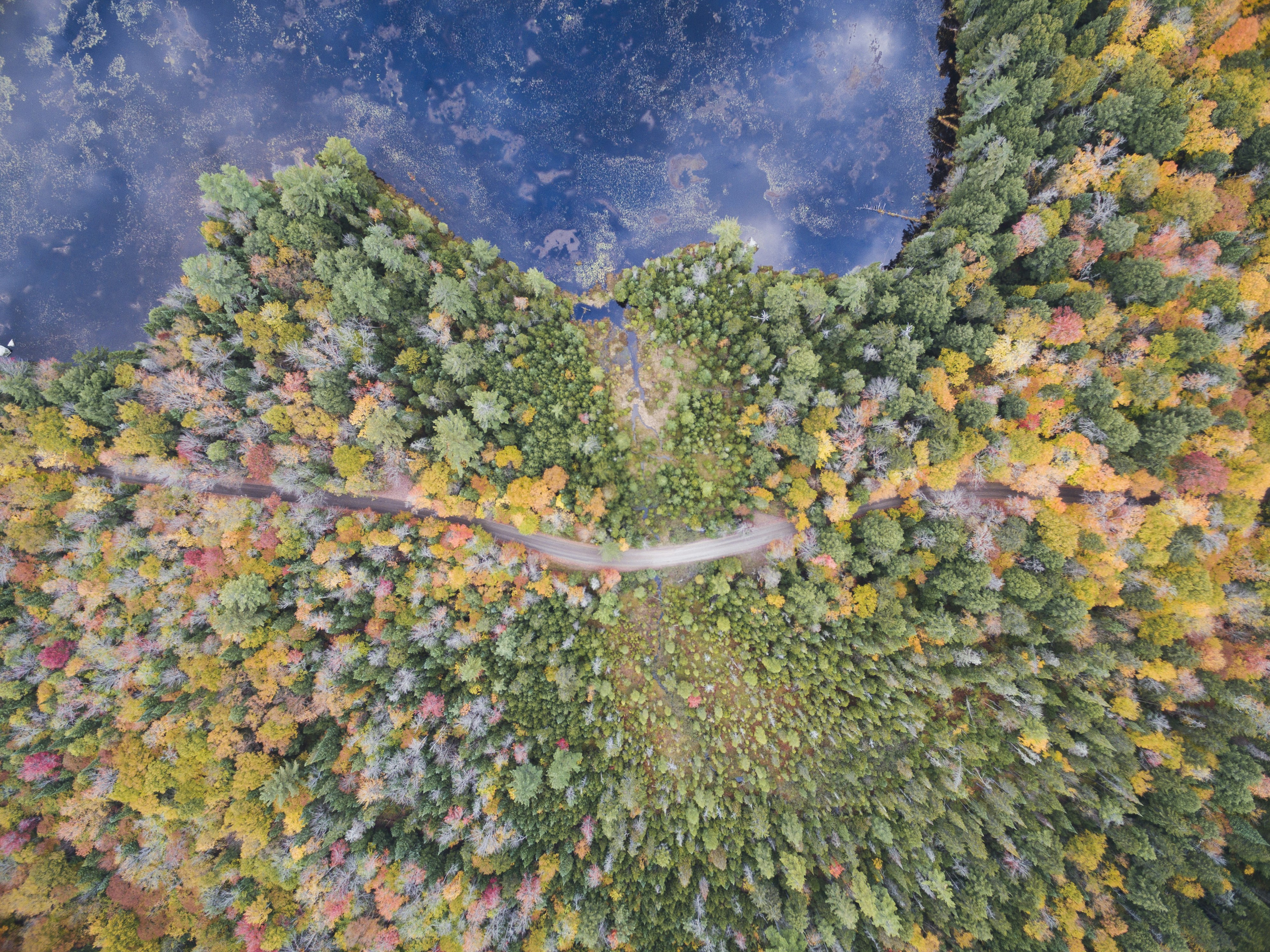 A winding road cuts through a vibrant forest of autumn foliage beside a reflective lake.