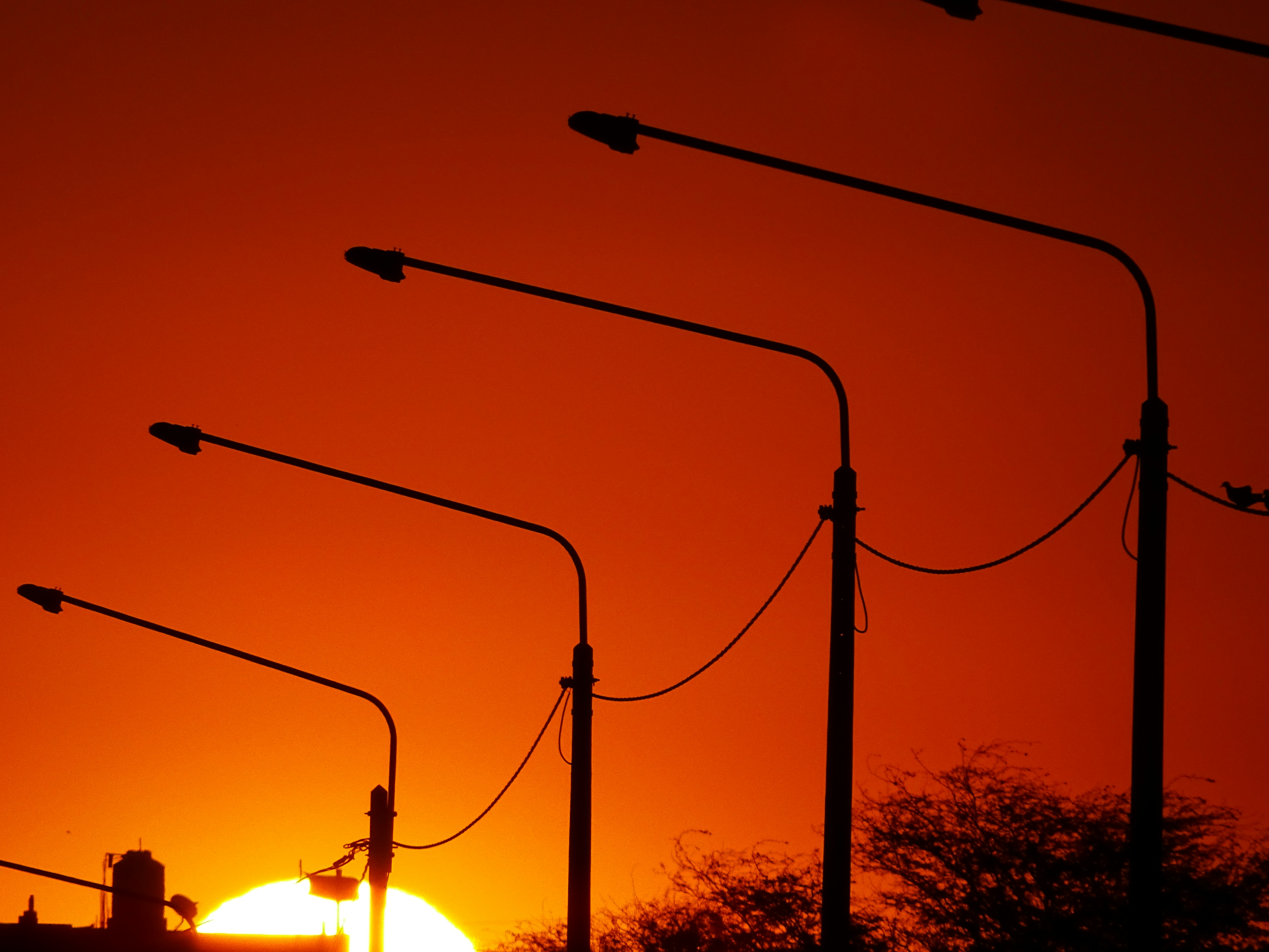 Silhouetted streetlights stand against a vivid orange sunset, creating a striking urban scene.