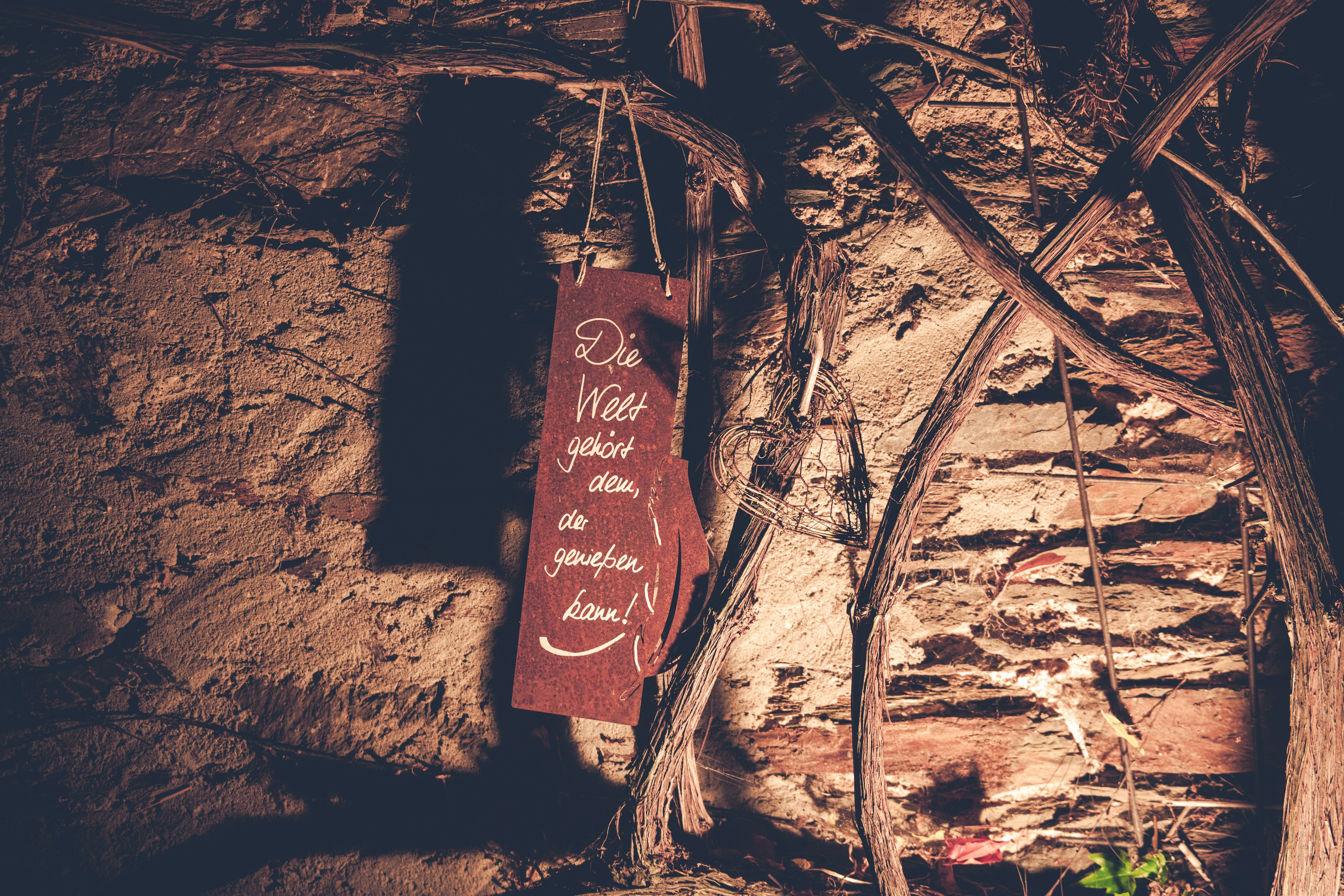 Whispers of Wisdom in Rustic Surroundings