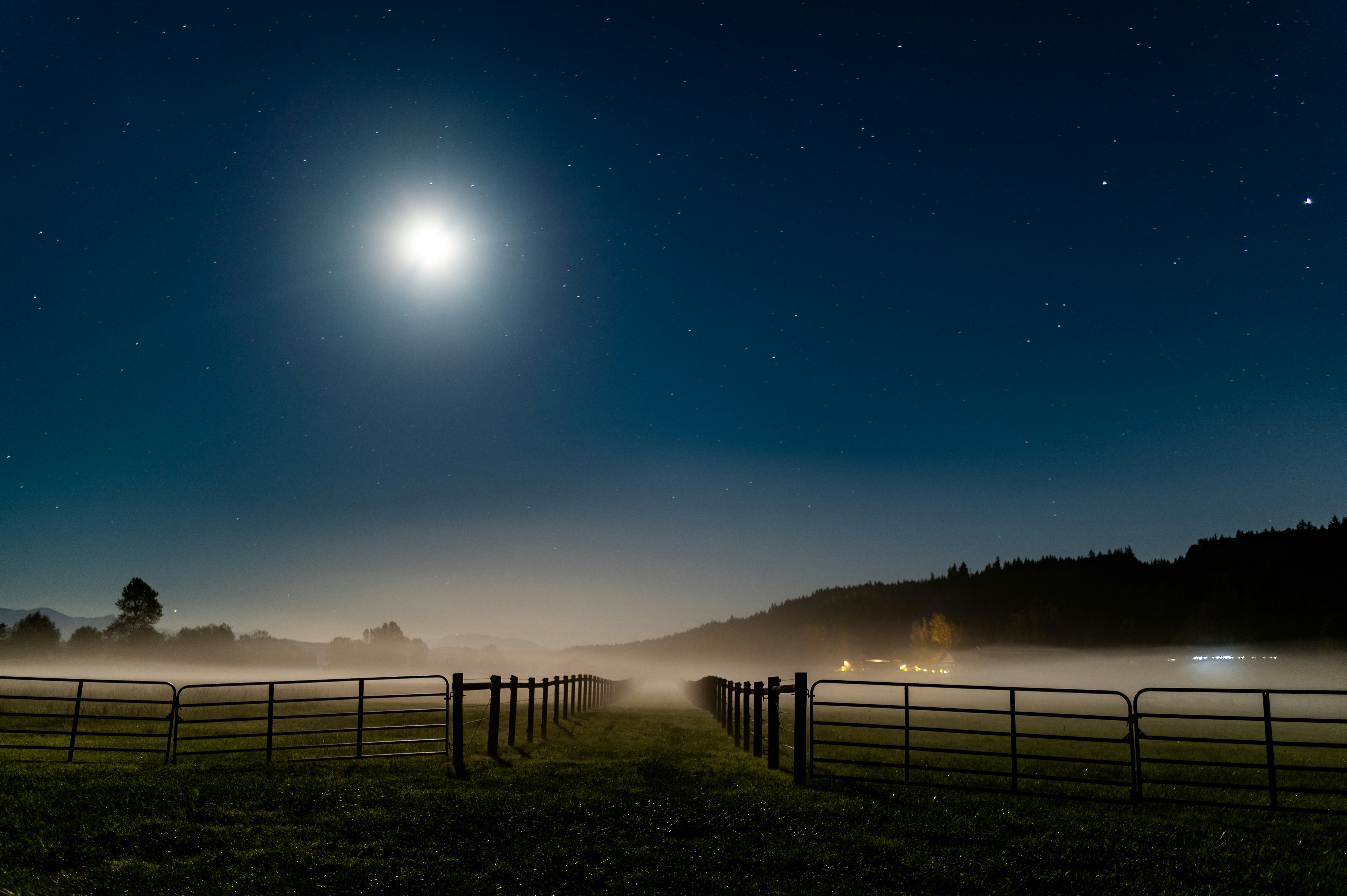 Grassy Field At Night