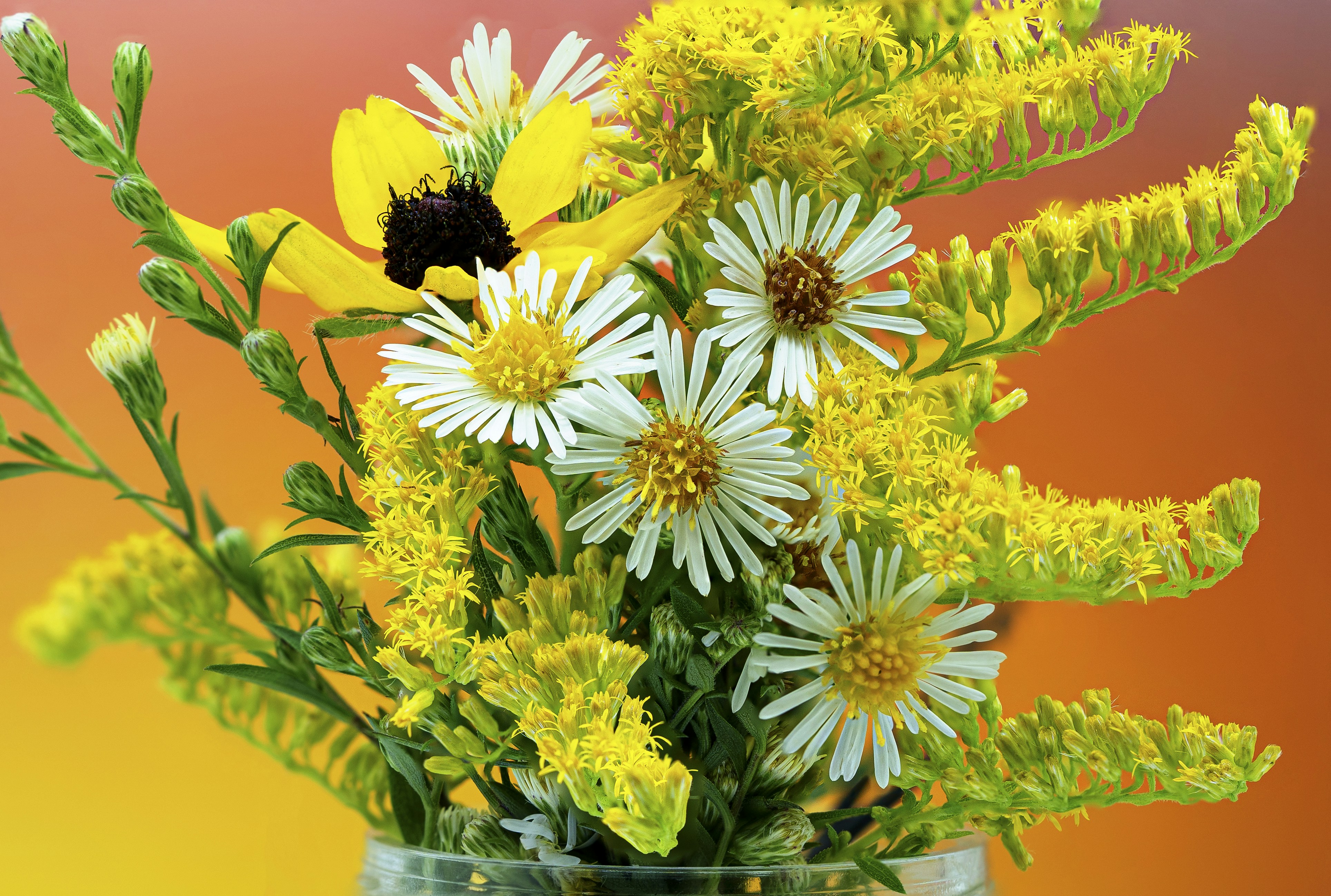 Sunny Bouquet in a Glass Vase: White Daisies and Yellow Spires Against a Sunset Gradient