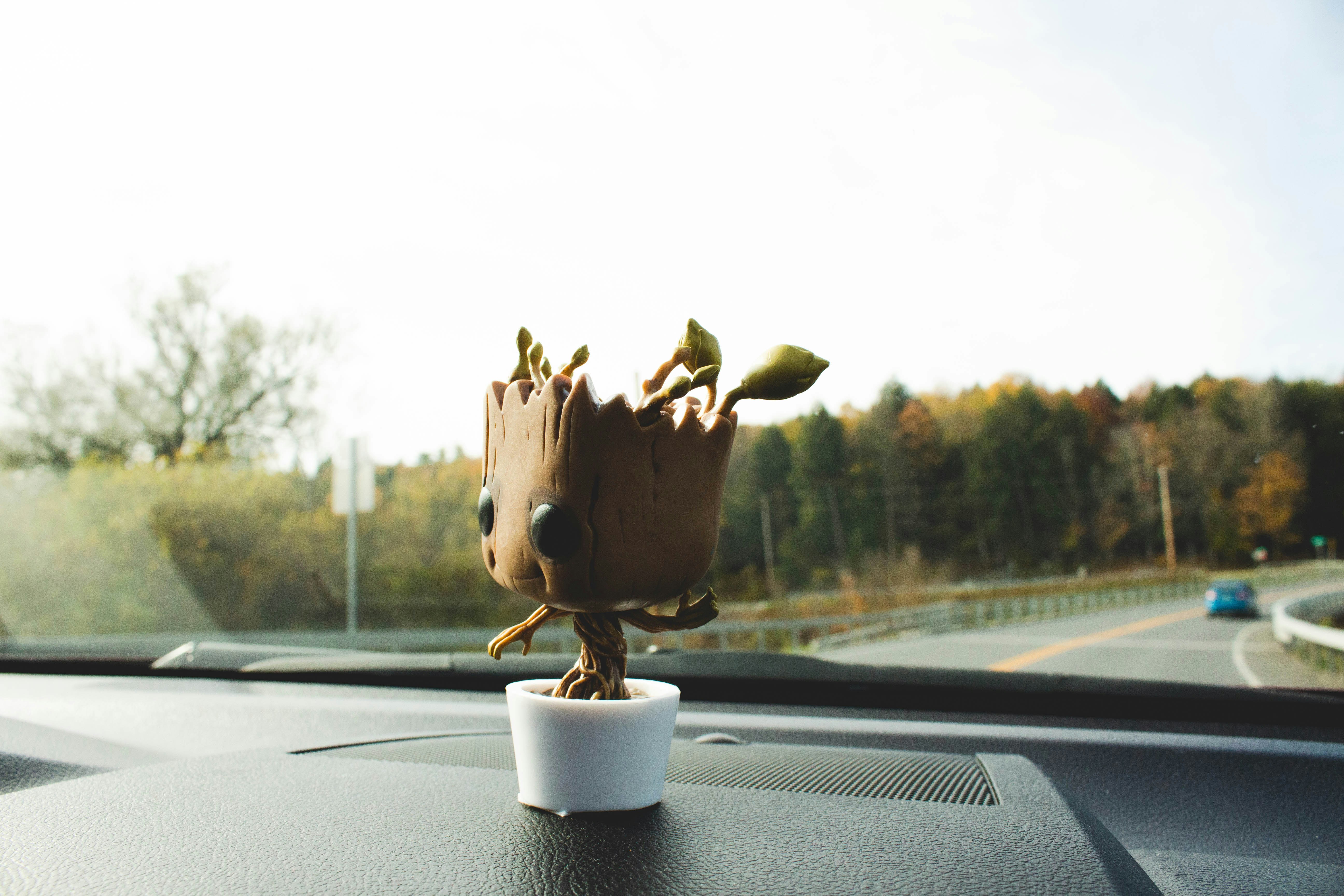white ceramic mug on car dashboard