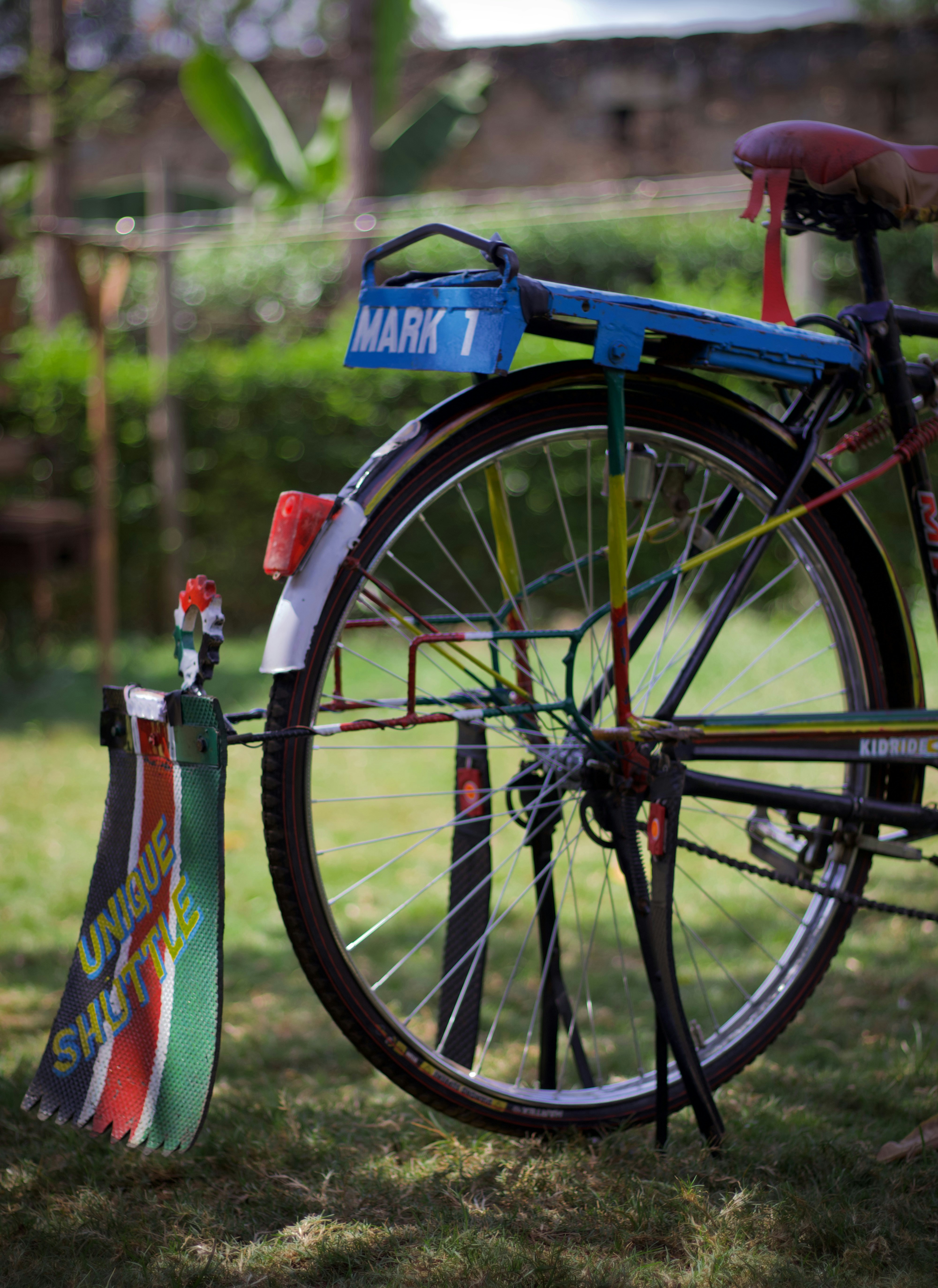 Blue Bicycle Frame: Race Sign, Wheels and Shiny Chain in a Sunlit Yard