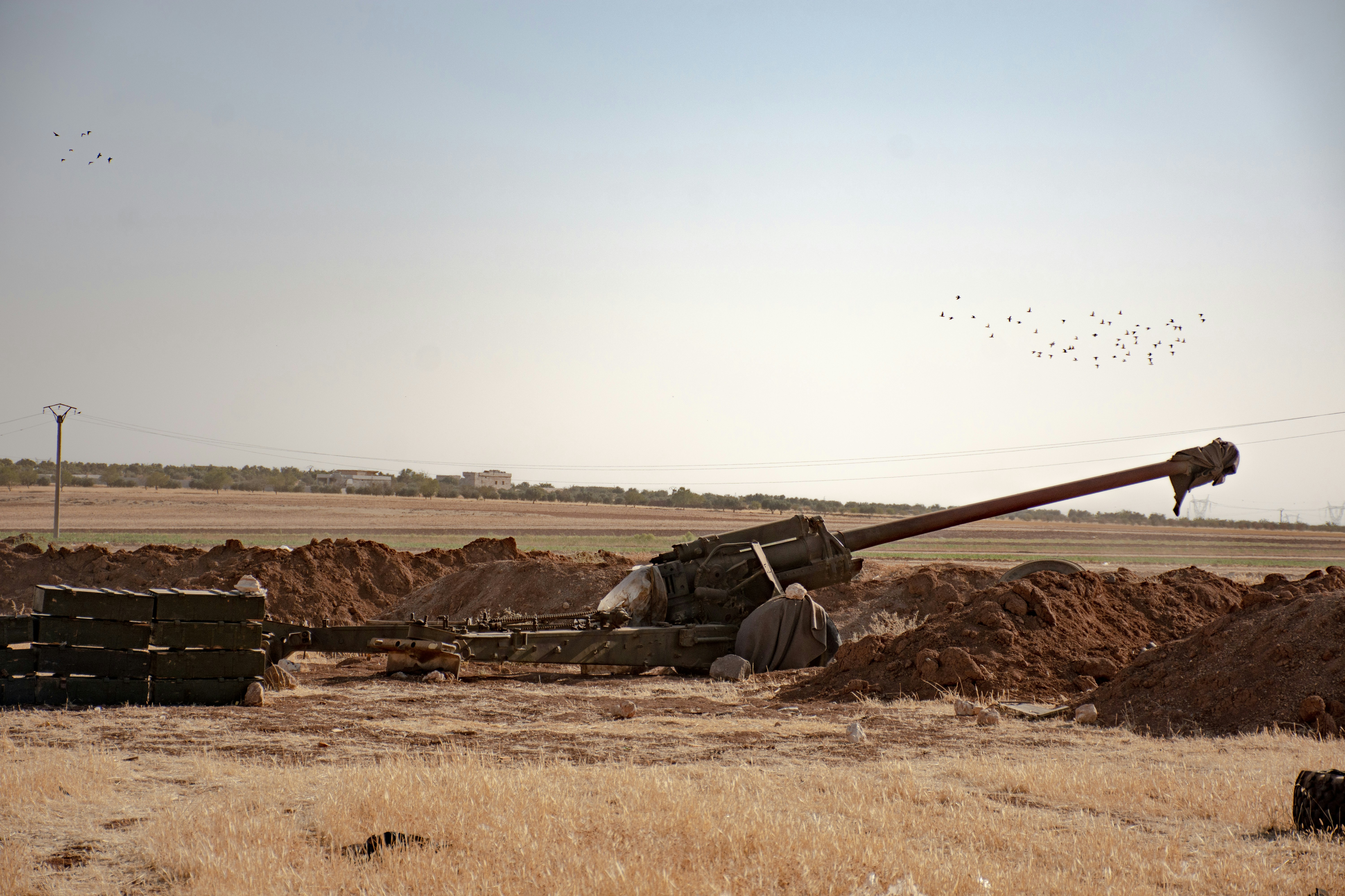 Desert Sentinel: Artillery in the Field