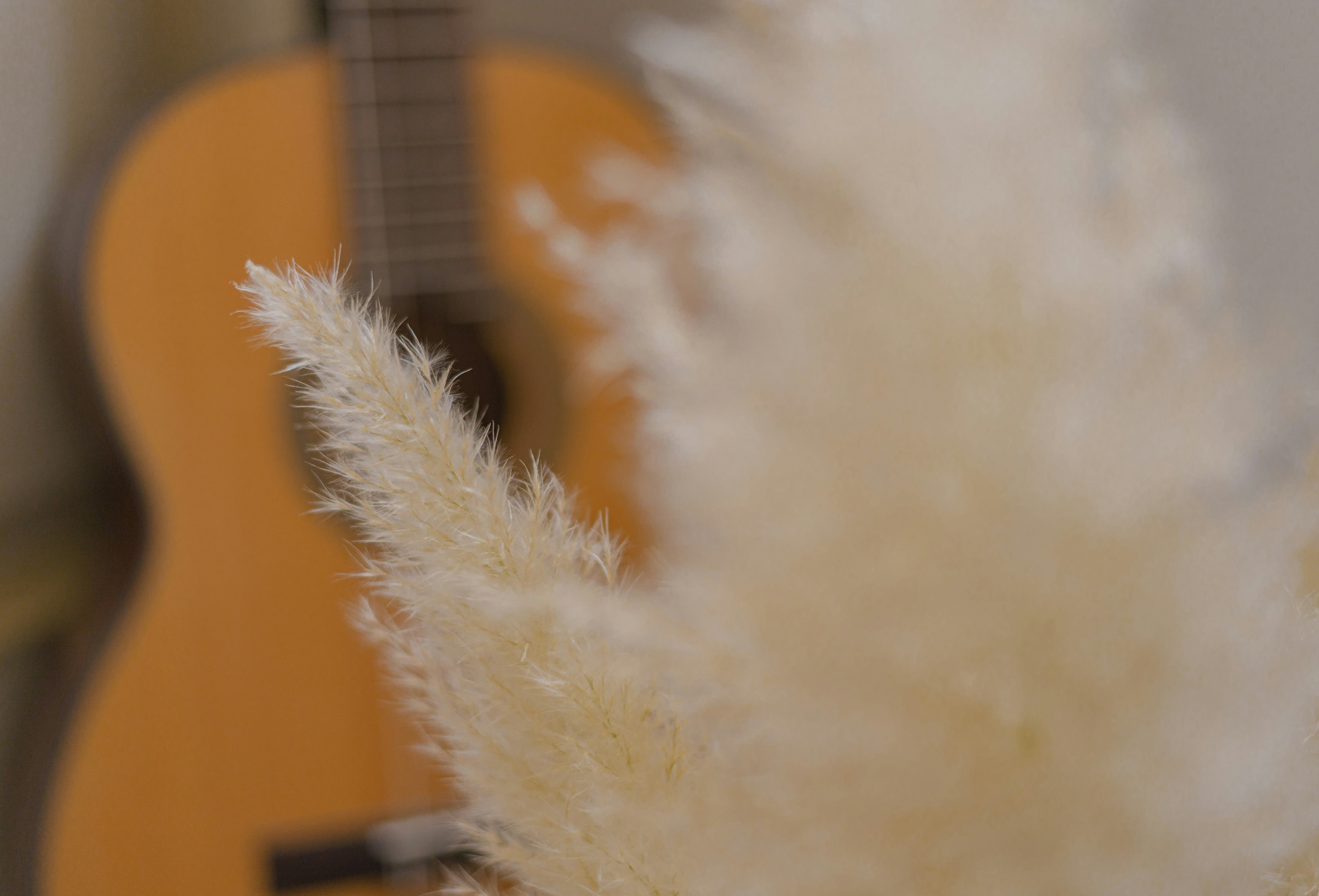 Fluffy pampas grass in the foreground with a wooden guitar softly blurred in the background, creating a serene atmosphere.