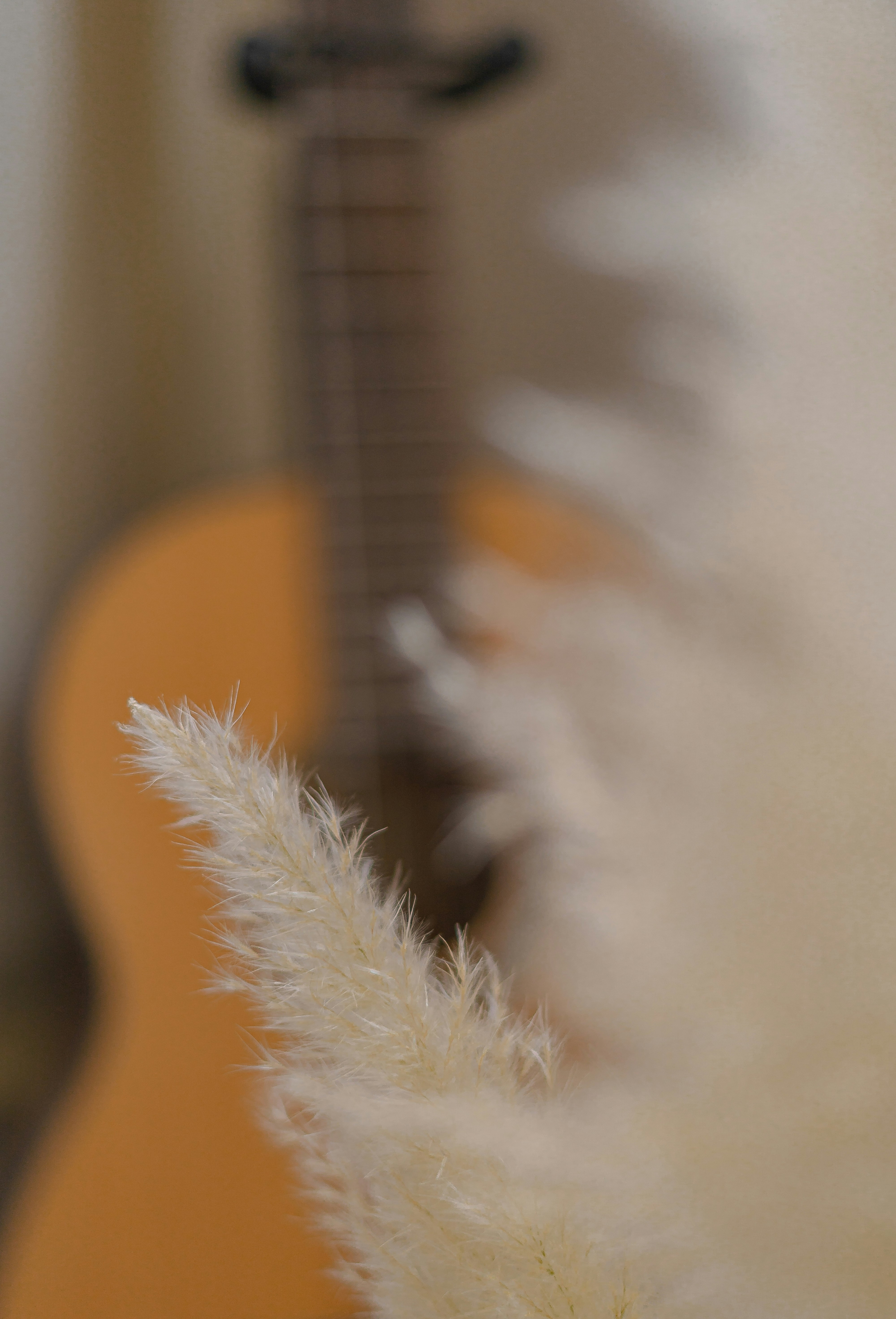 Pampas in Focus, Guitar in the Periphery