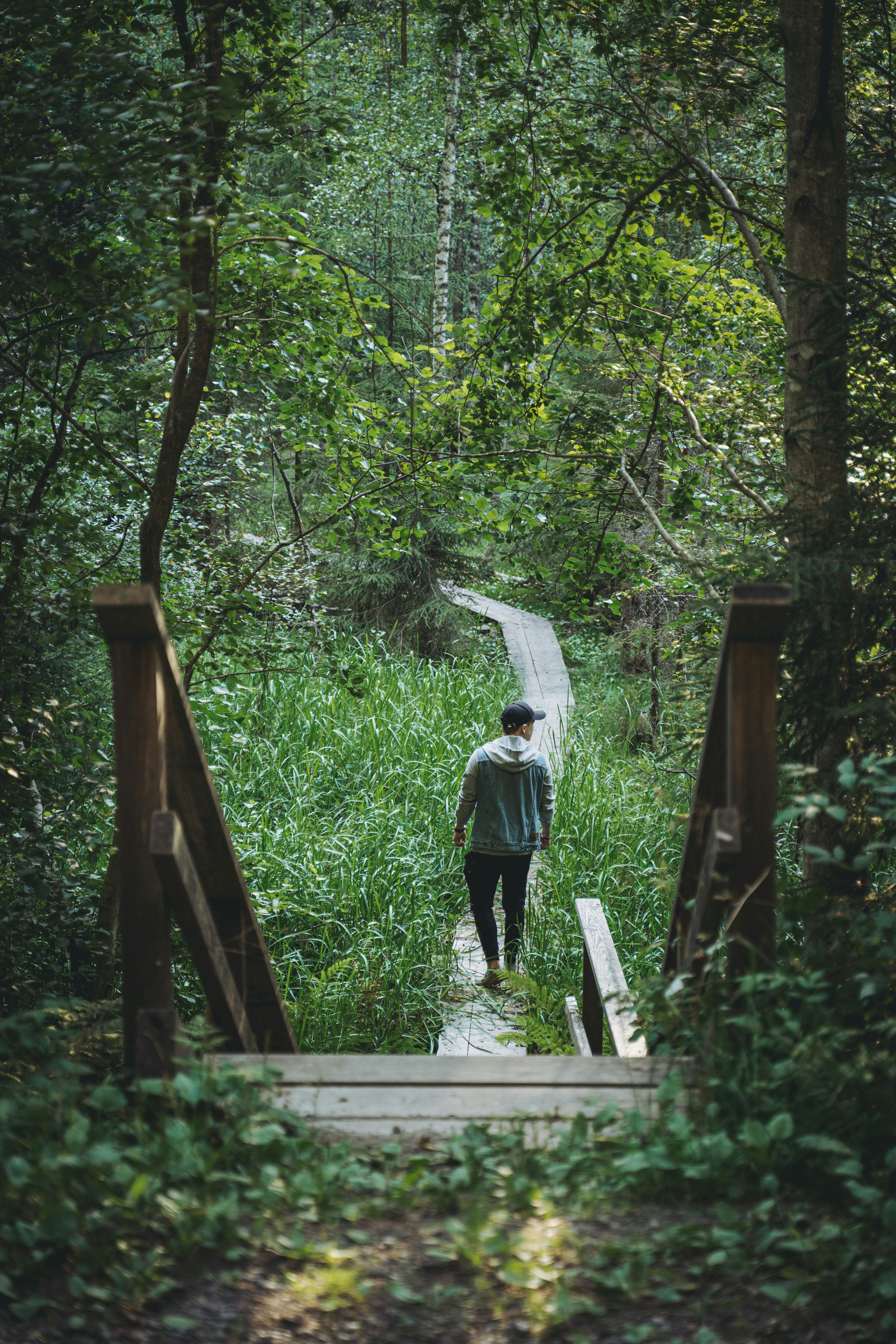 Person walking on a narrow wooden path through lush forest.