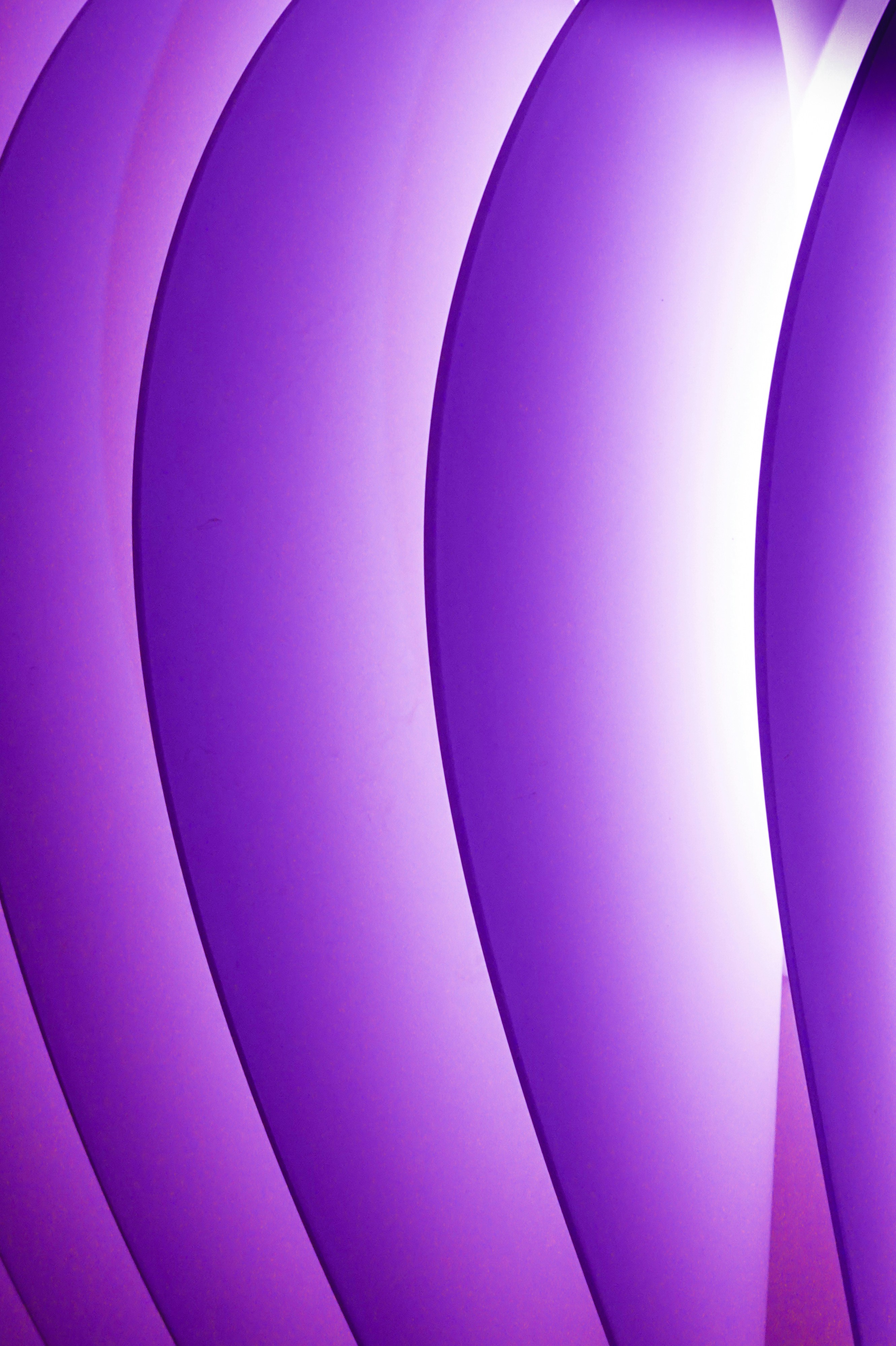 Purple and white round light photo – Free Purple Image on Unsplash