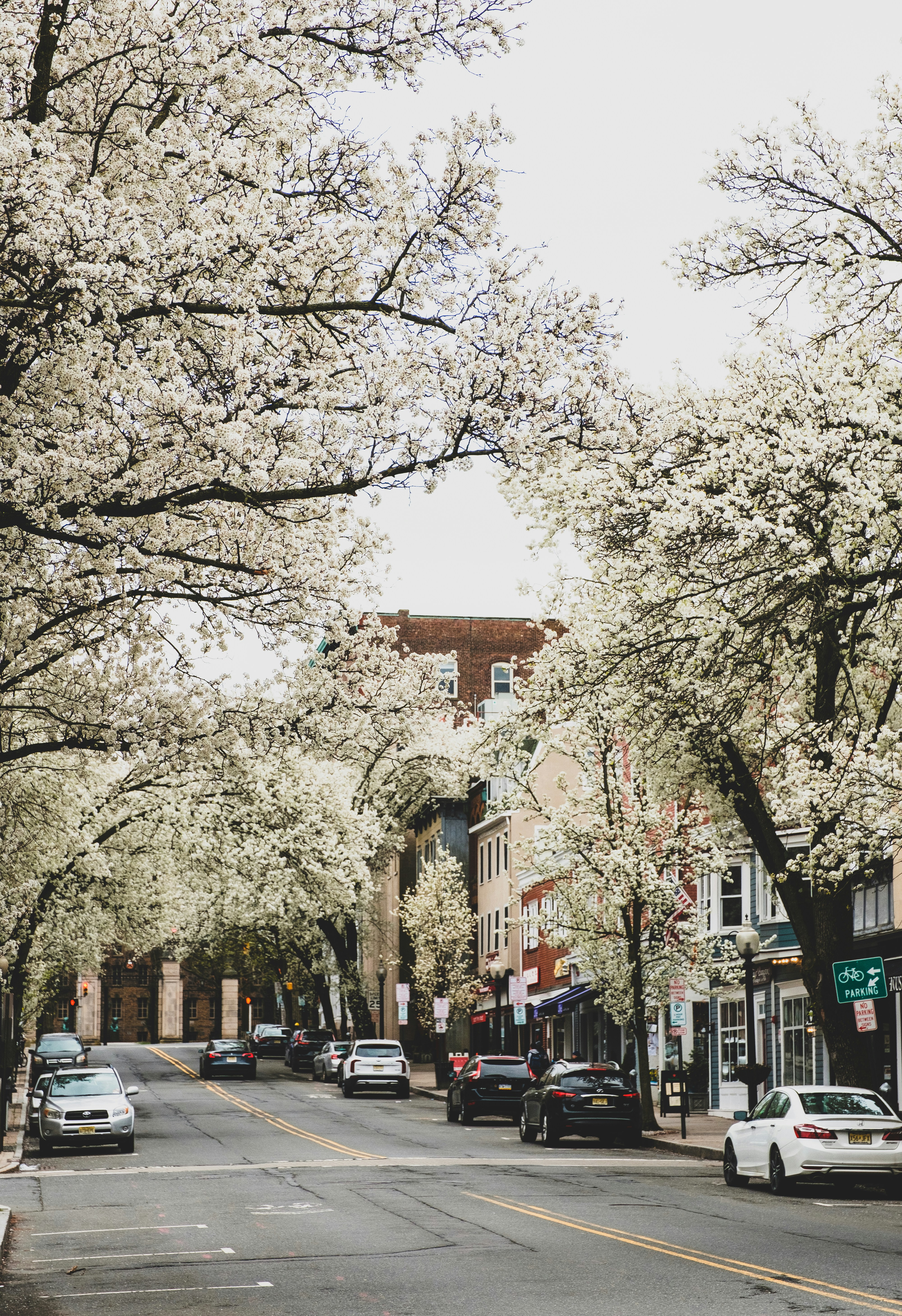 Princeton Pictures | Download Free Images on Unsplash