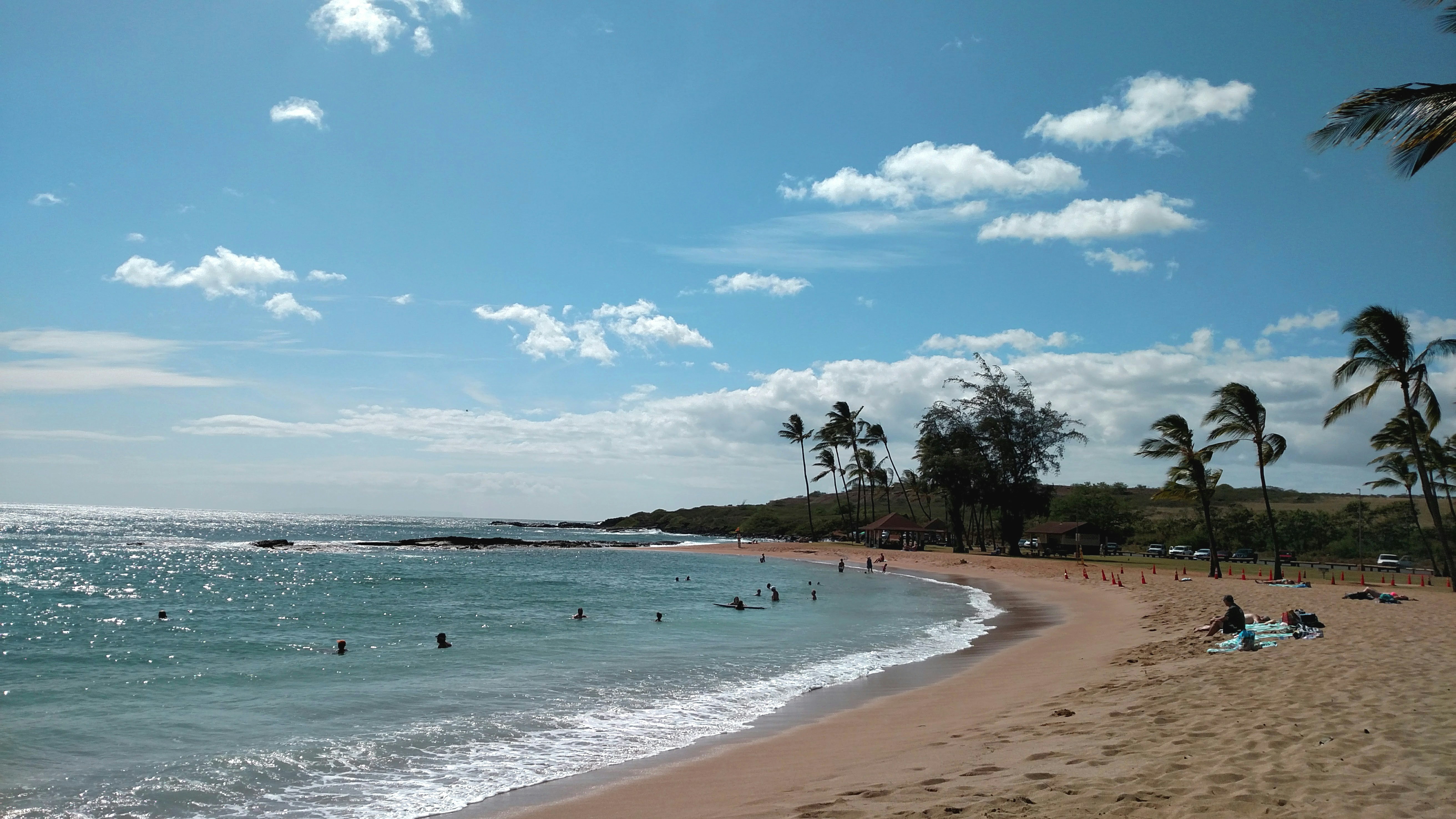 Golden sandy beach with gentle waves and palm trees under a clear blue sky. People enjoy the sun and water activities.