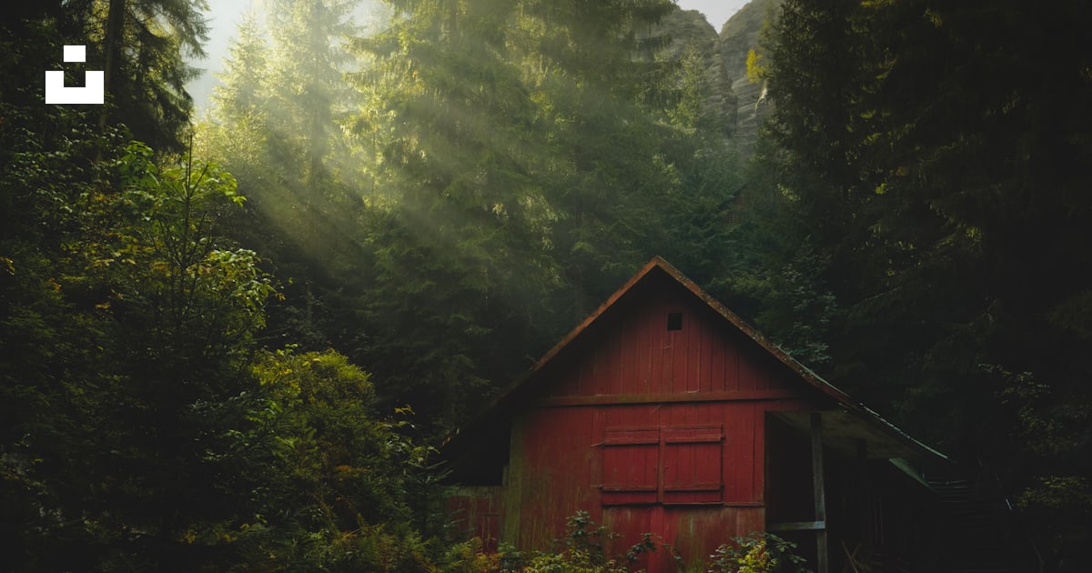 昼間は緑の木々の近くの緑の芝生の野原に赤い木造住宅の写真 Unsplashのteplice Nad Metujíの無料画像