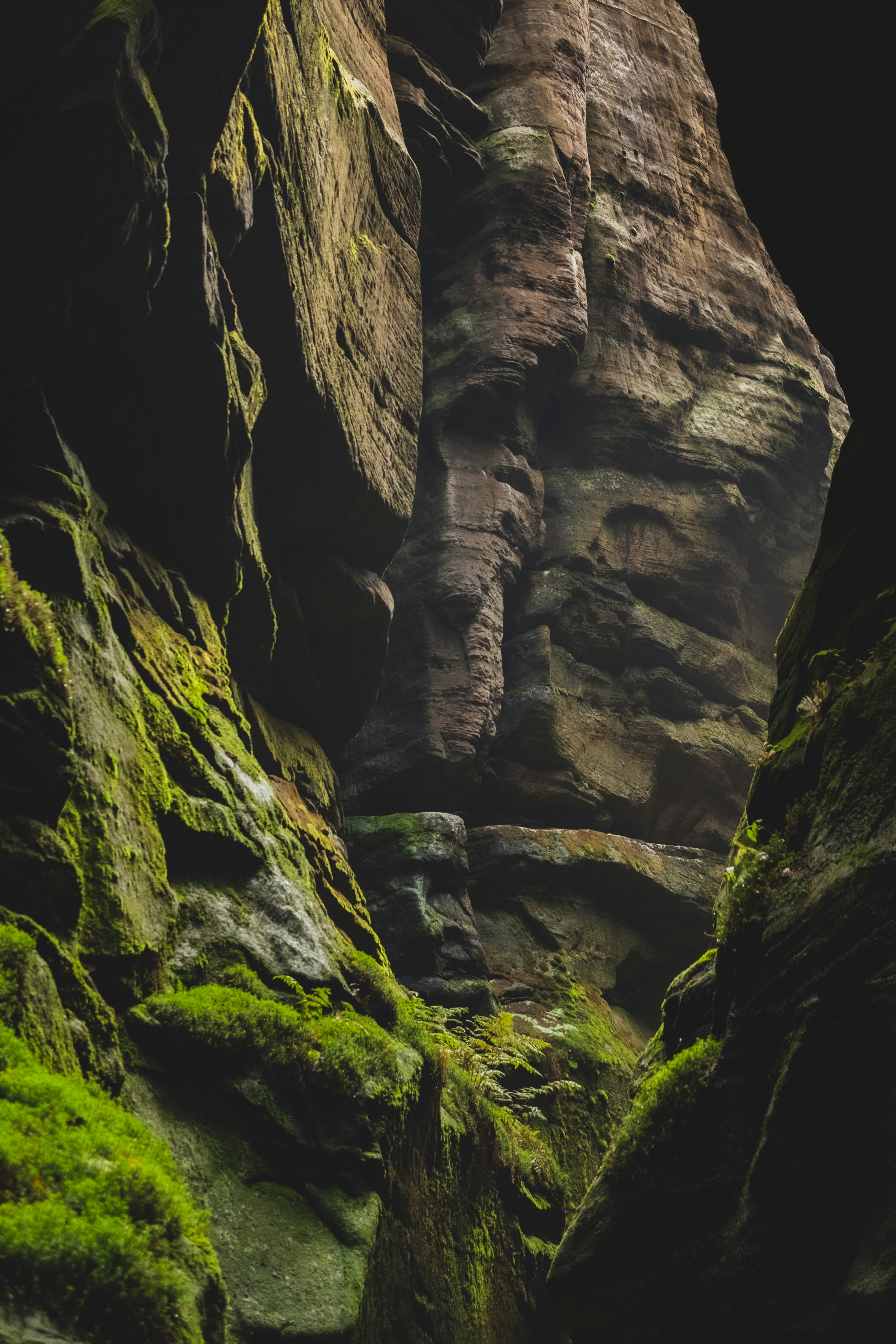 Whispers of the Ancient Gorge