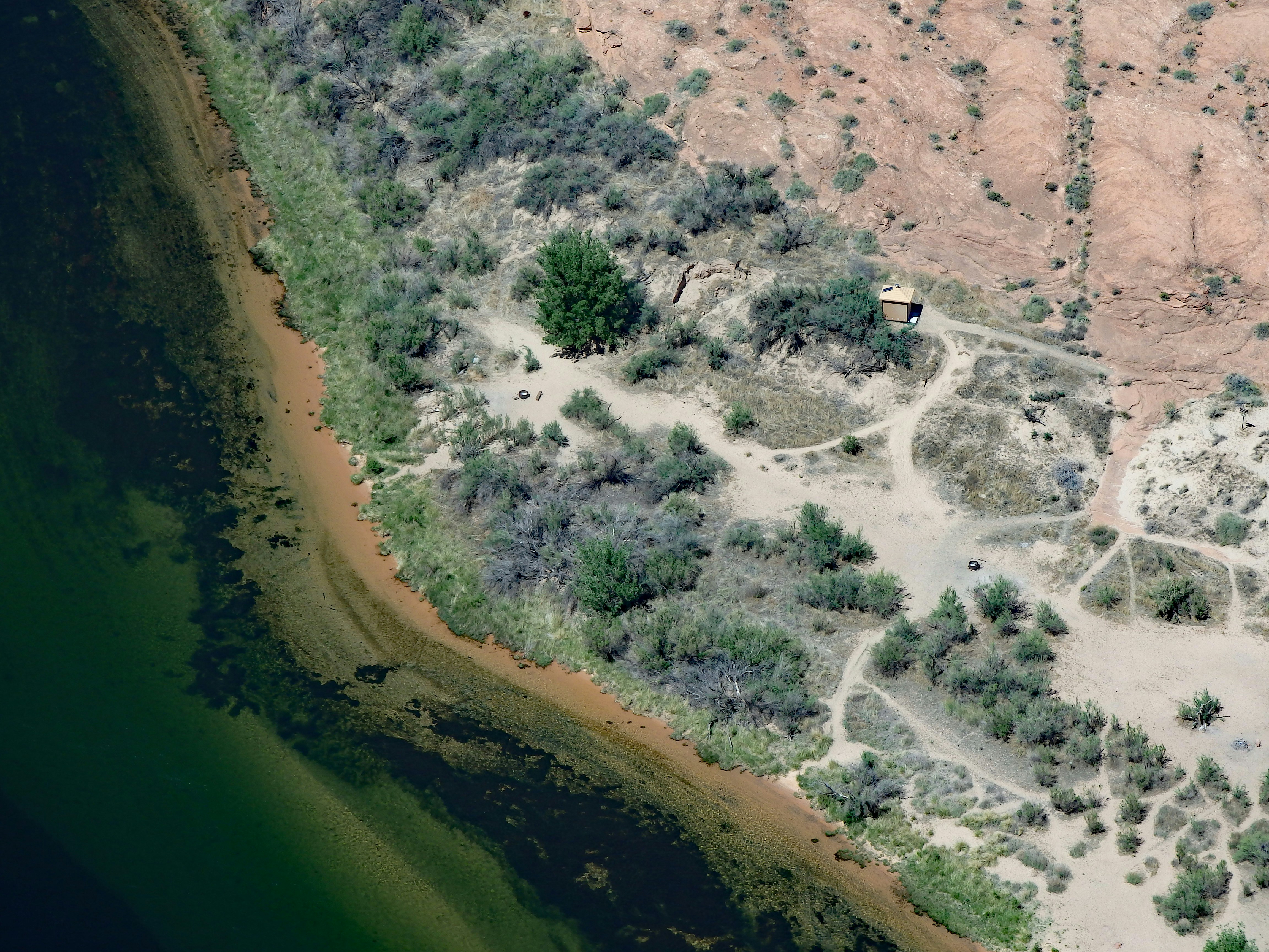 Aerial view of a riverbank showcasing lush vegetation alongside a contrasting sandy terrain, with a subtle color gradient in the water. 