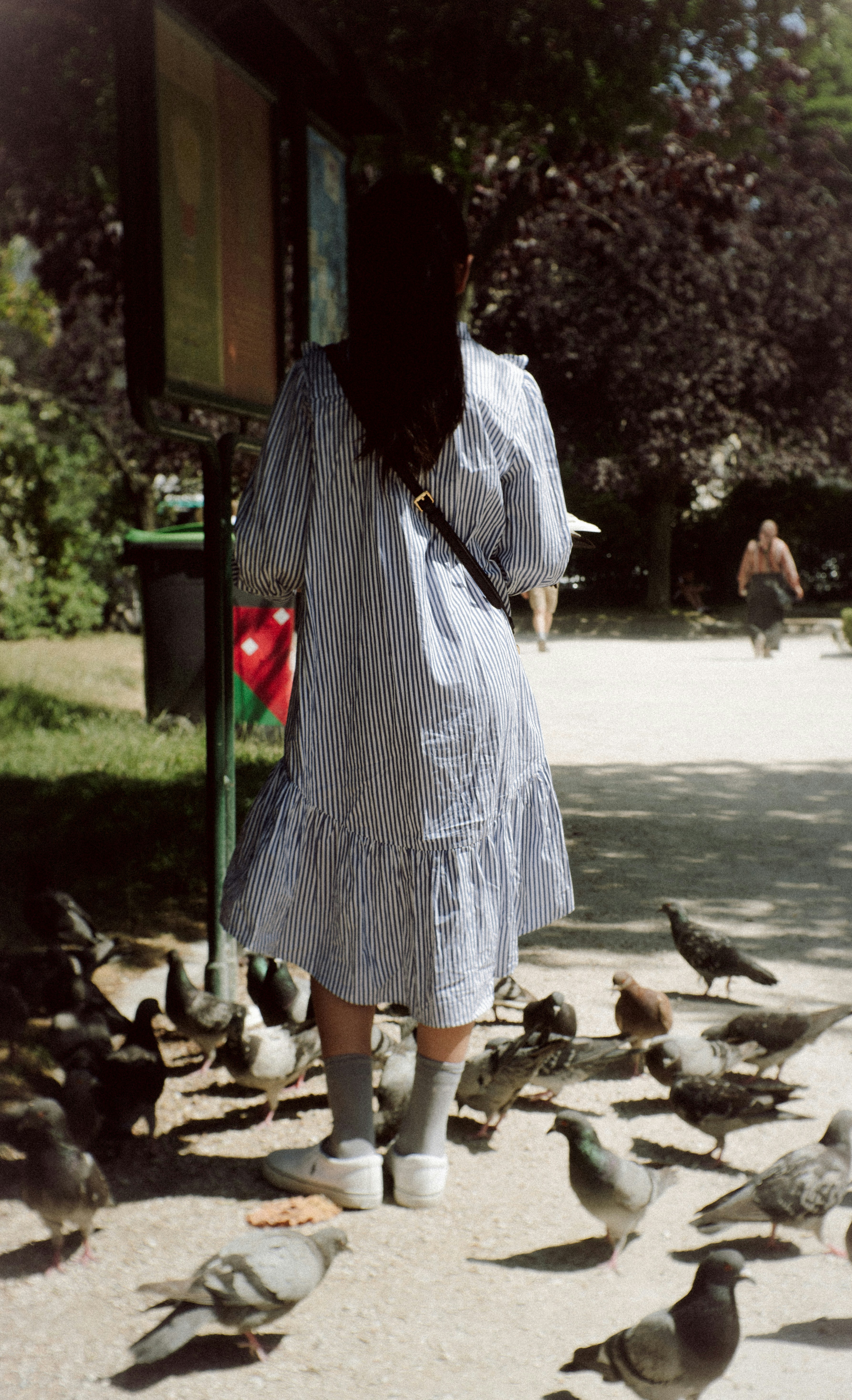 Back View in a Striped Dress Among Park Pigeons