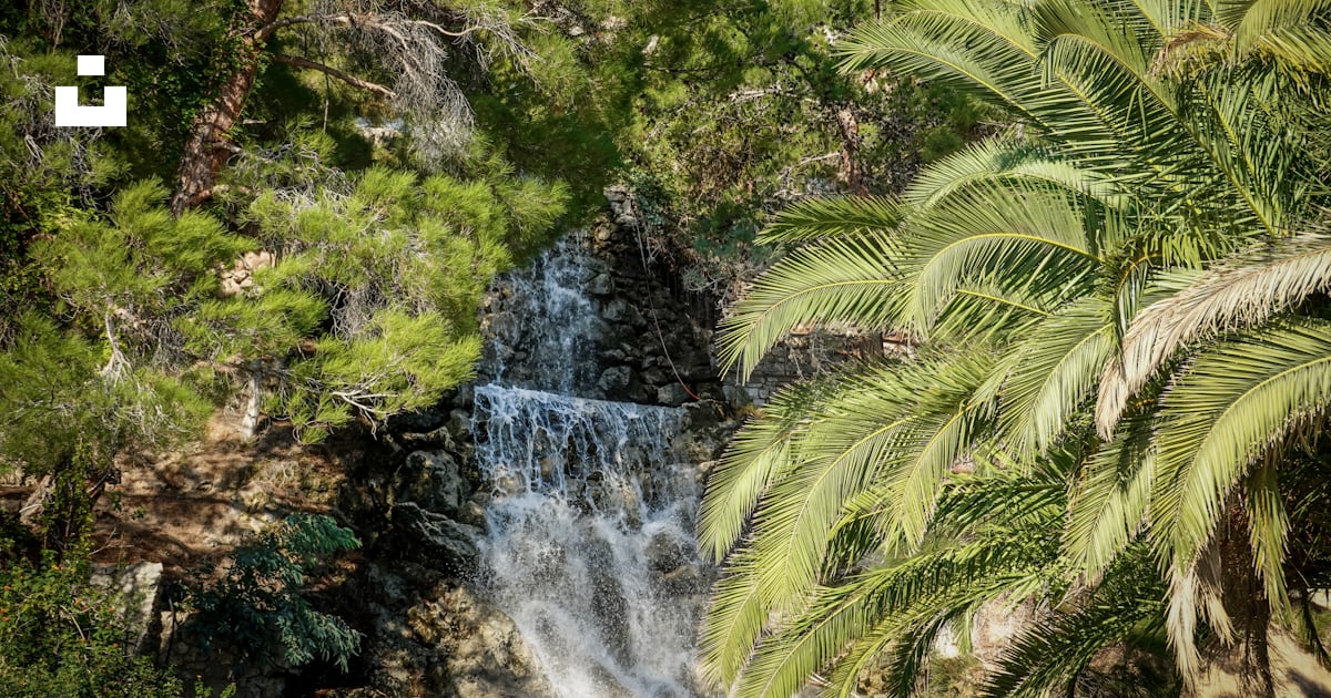 Green Trees Near Waterfalls During Daytime Photo Free Nature Image On