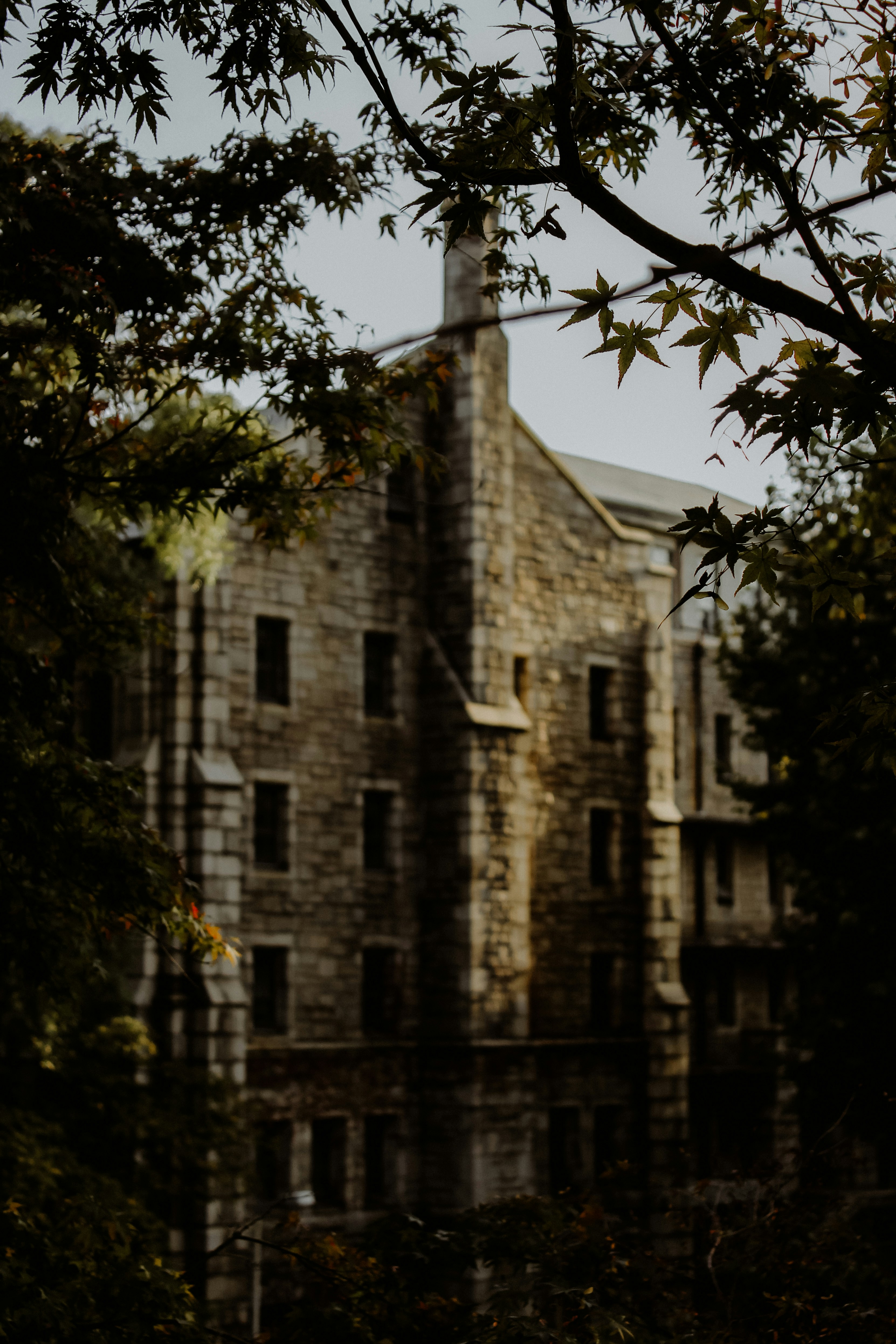 Weathered stone building partially obscured by foliage, hinting at its storied history and the passage of time.
