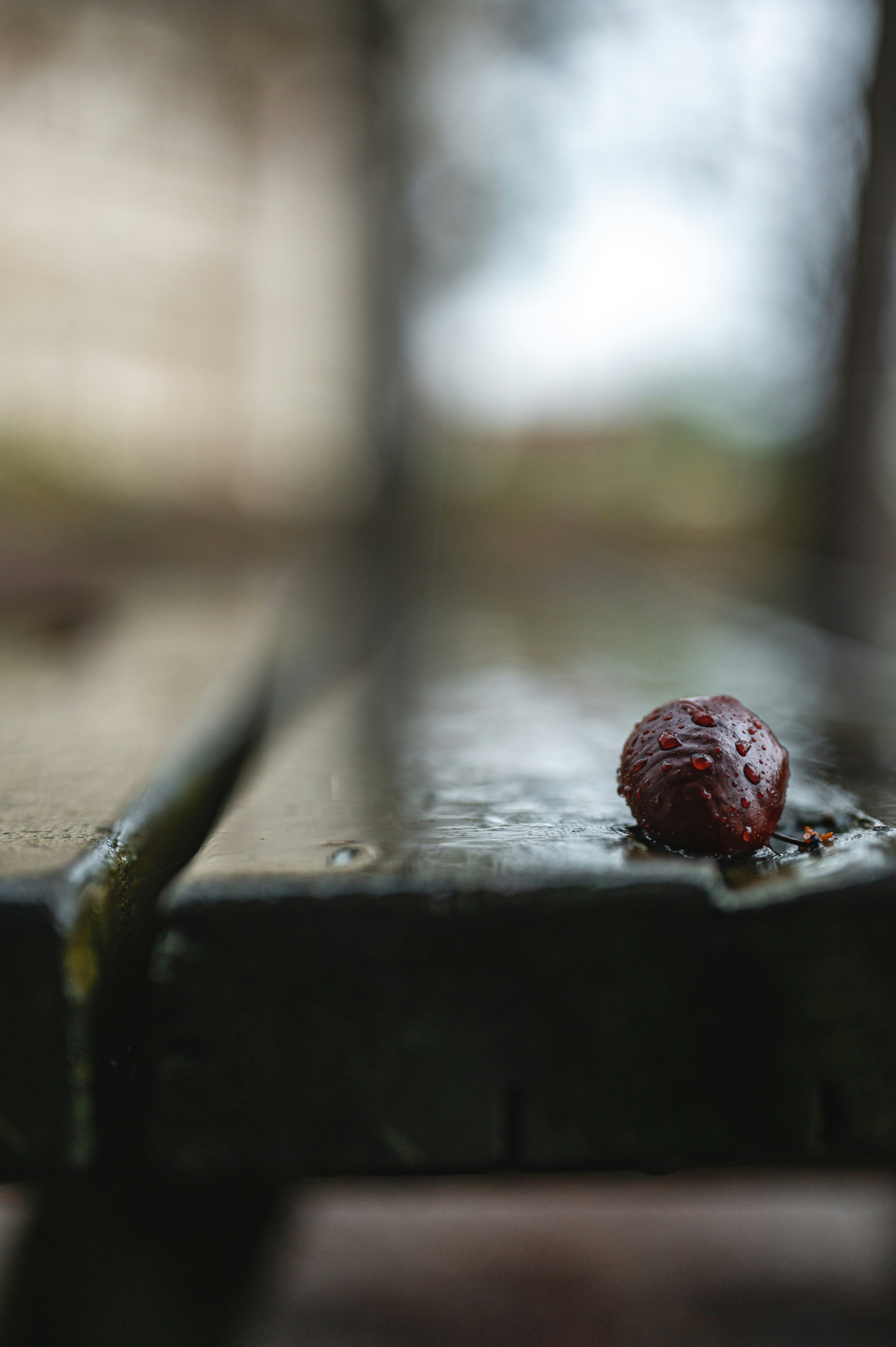 Fruits ronds rouges sur barre en métal noir photo – Image gratuite de ...
