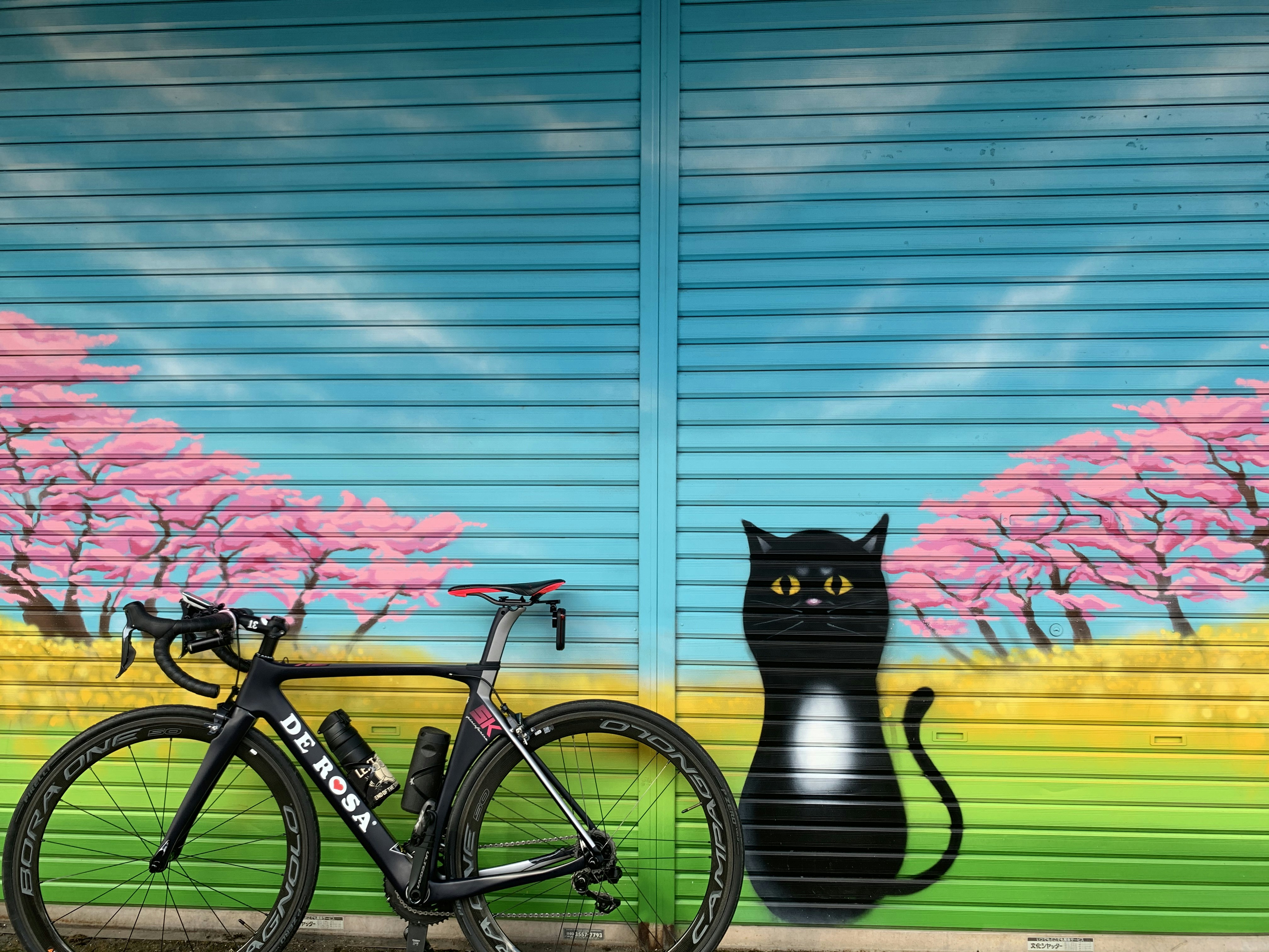 Cat Guardian of a Painted Gate: Neon Sky, Pink Trees, and a Bicycle