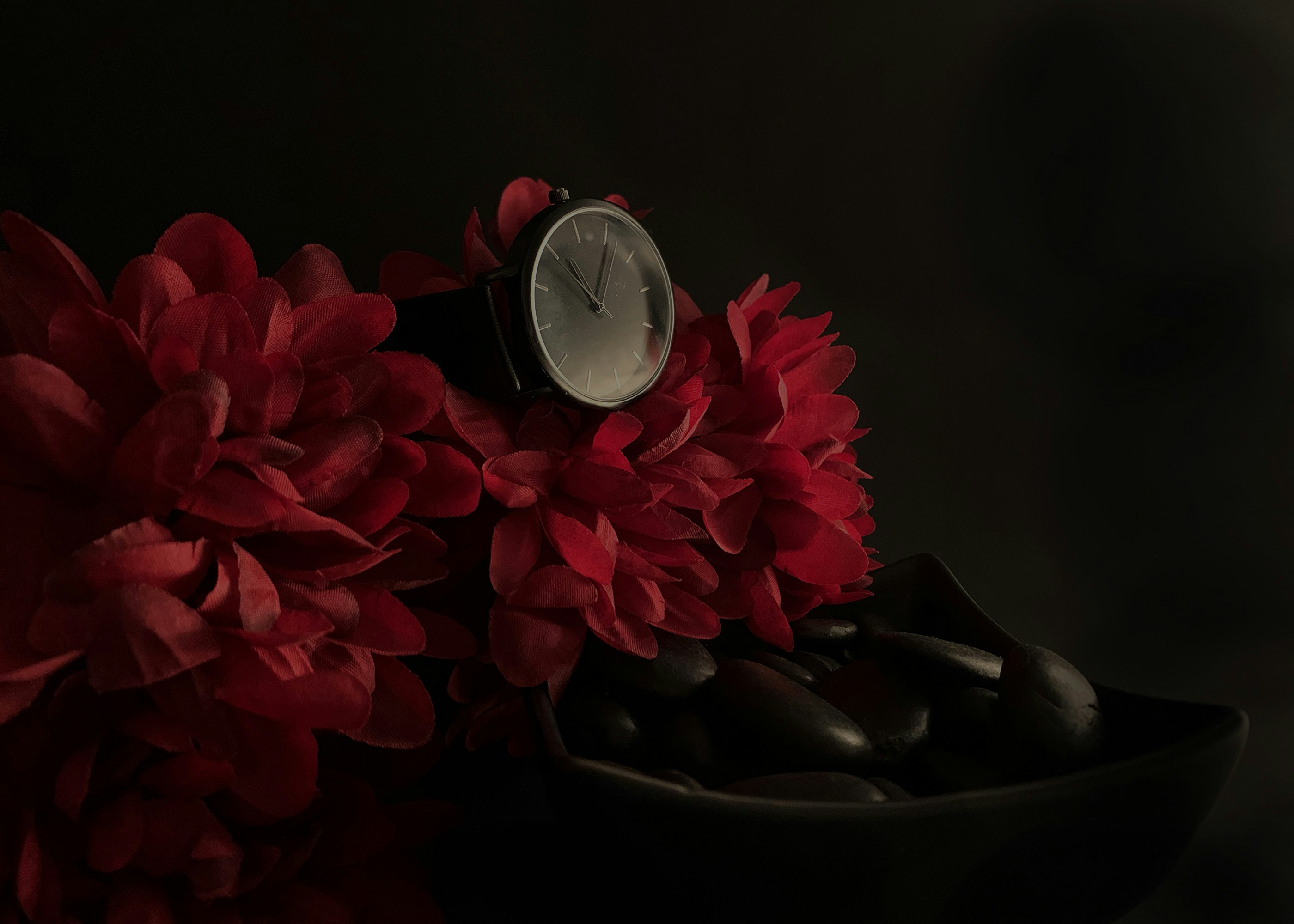 Time Keeps Watch on Velvet Red: A Moody Petal Still-Life