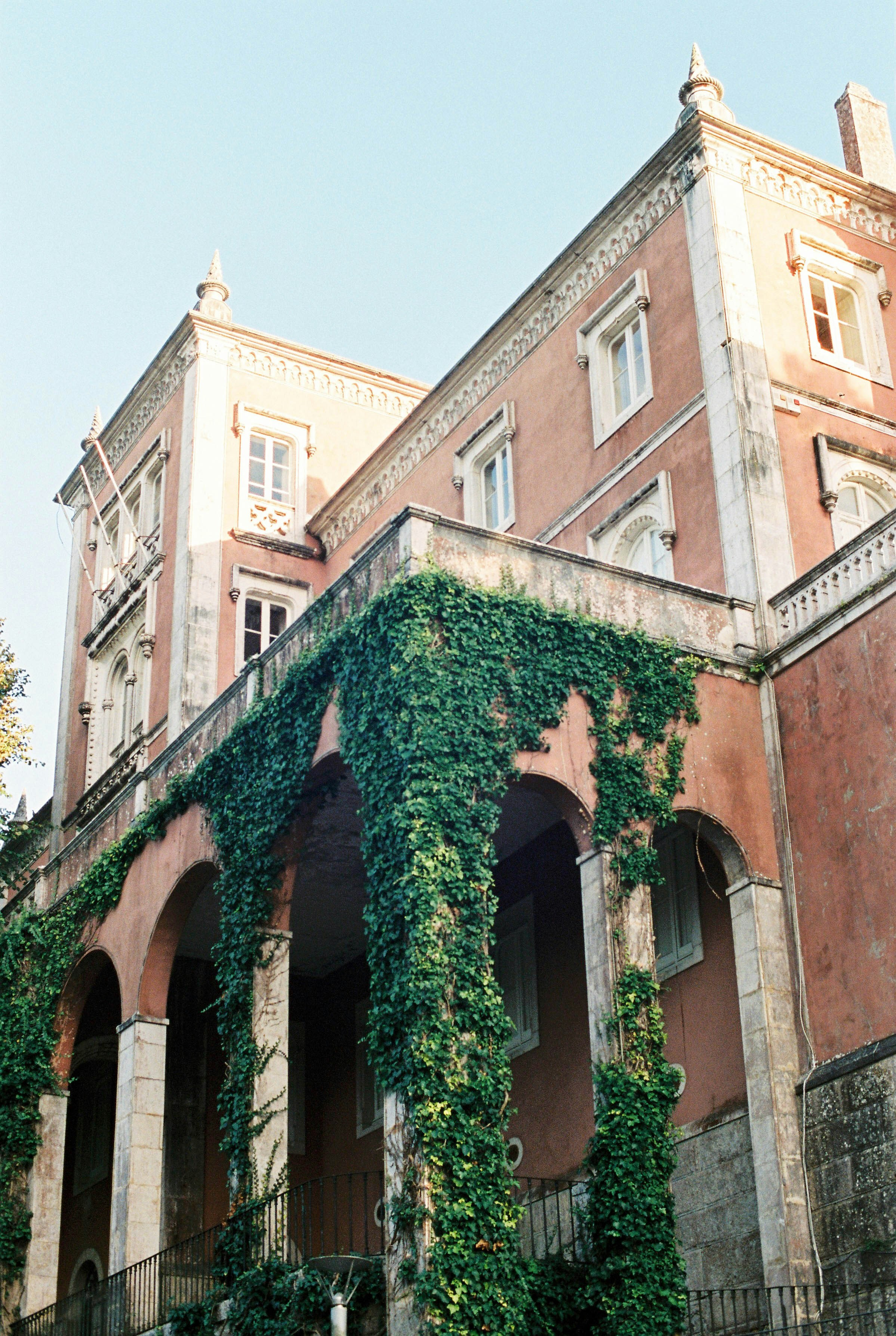 Historic building adorned with lush ivy climbing its stone columns, showcasing a blend of architecture and nature. The warm hues of the façade reflect a sense of nostalgia.
