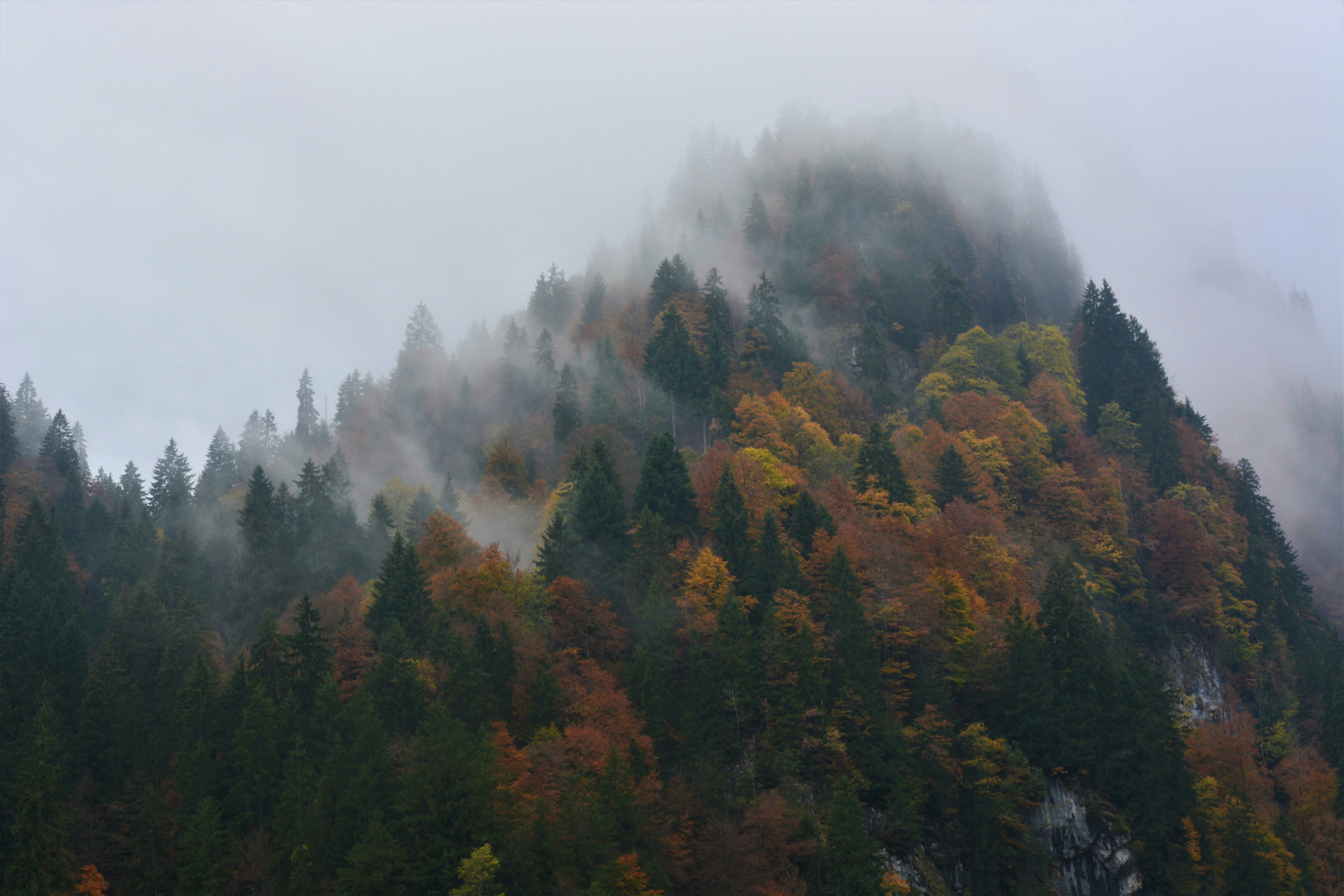 Vibrant autumn foliage clings to the mountainside, shrouded in a veil of mist. The scene captures the serene transition of seasons.