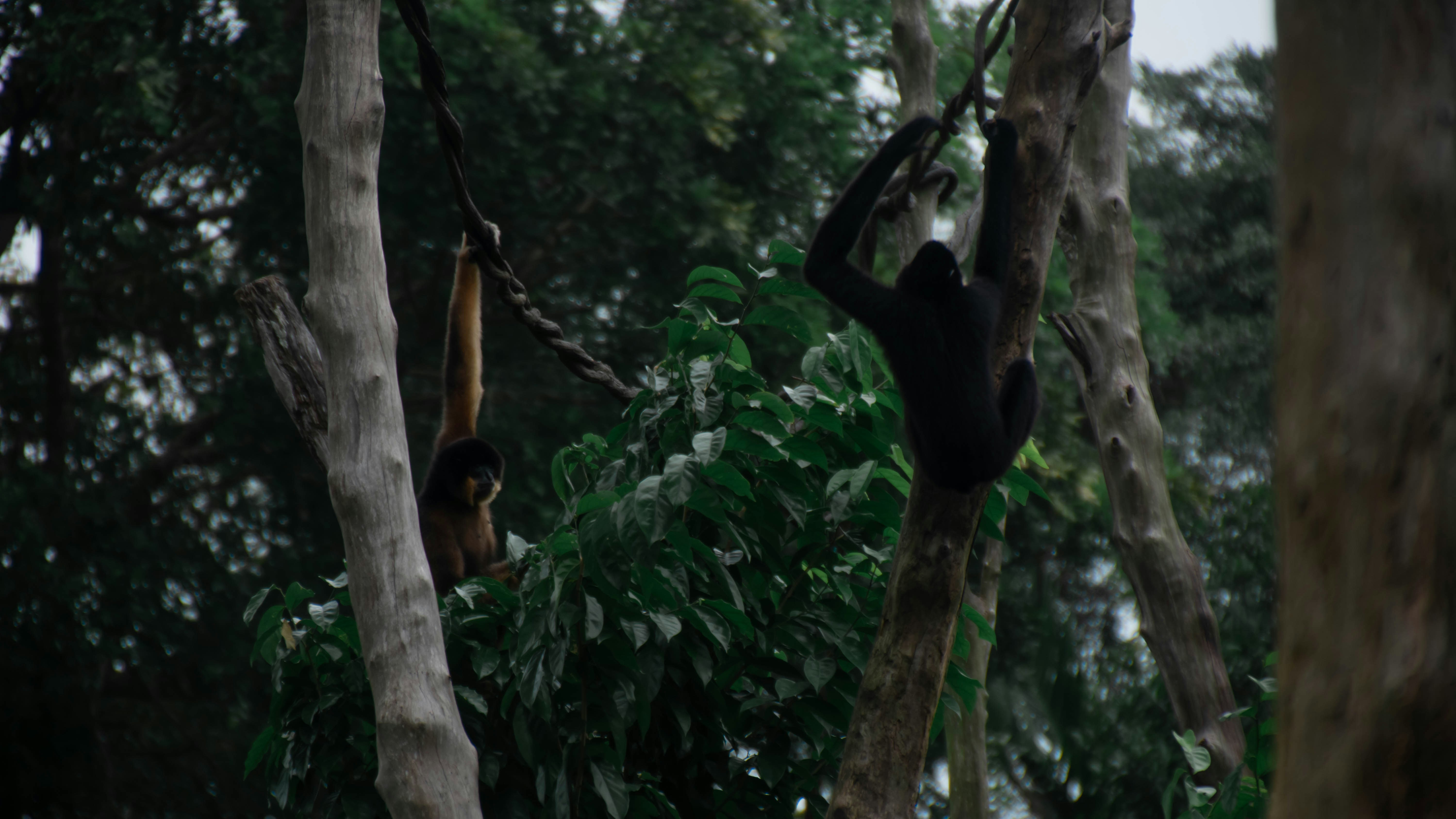 Kar Ming Moo (@vrnex) | Unsplash Photo Community