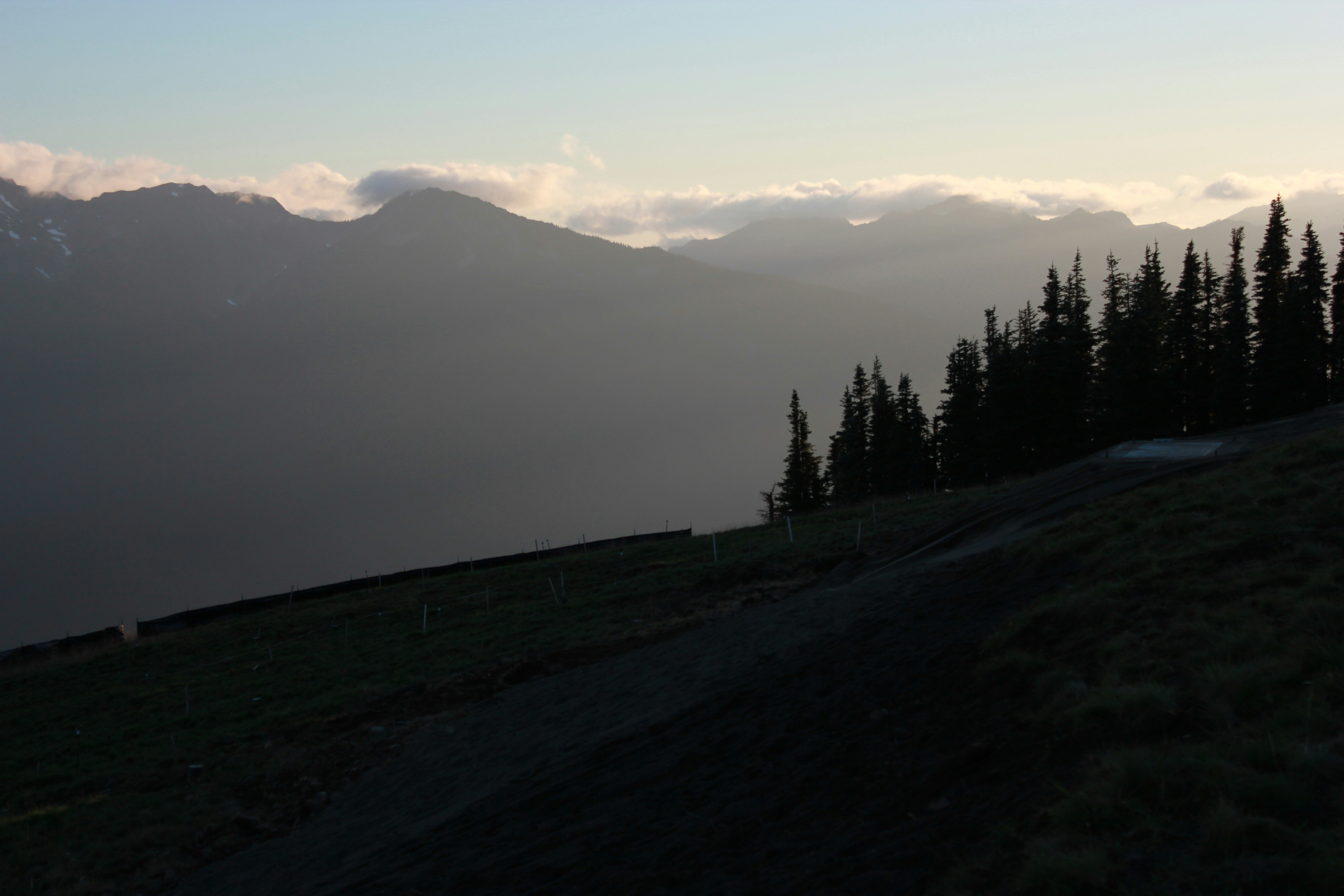Silhouetted pine trees against misty mountain ranges at dusk.