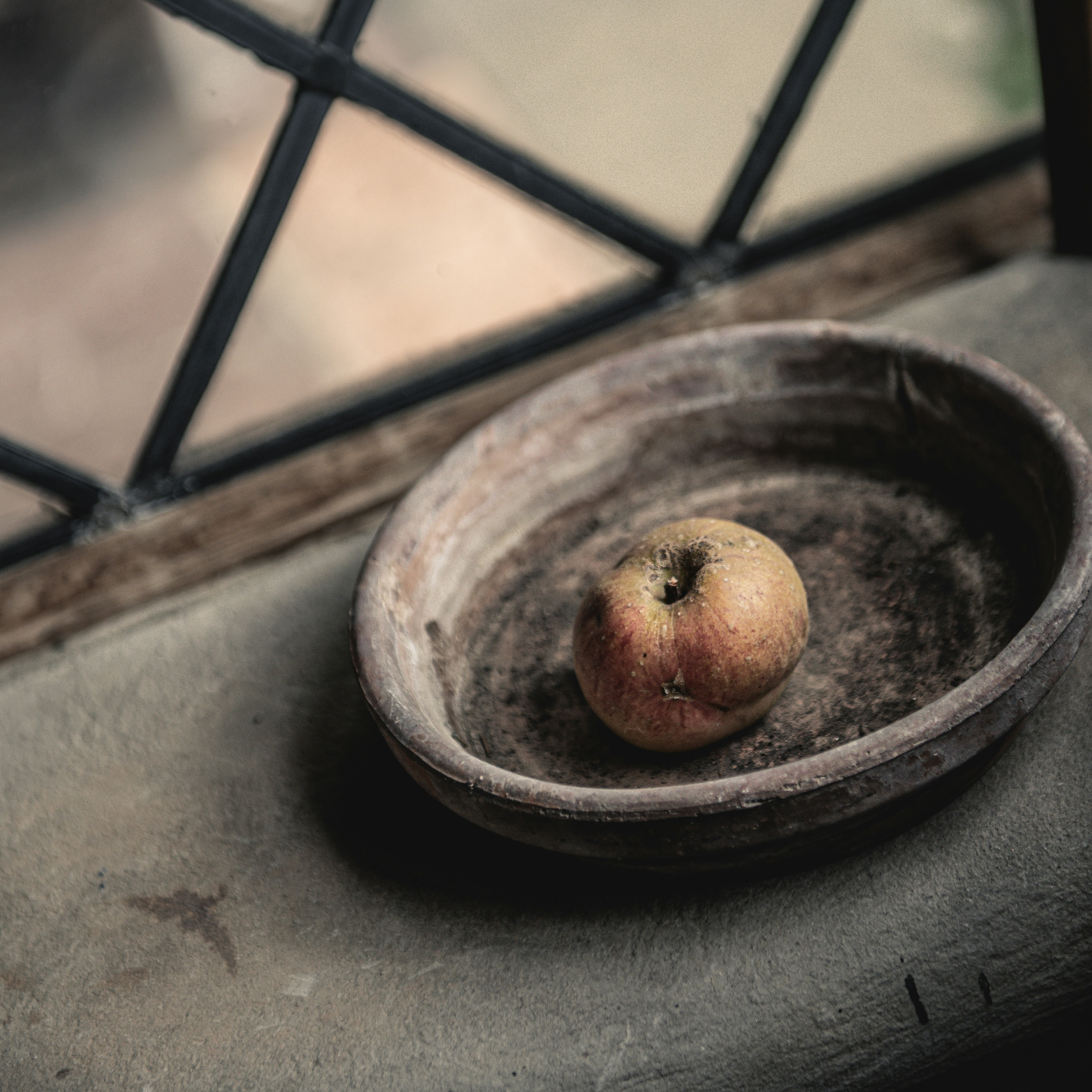 Dusty Apple in a Weathered Dish: Quiet Light Through Iron Lattice