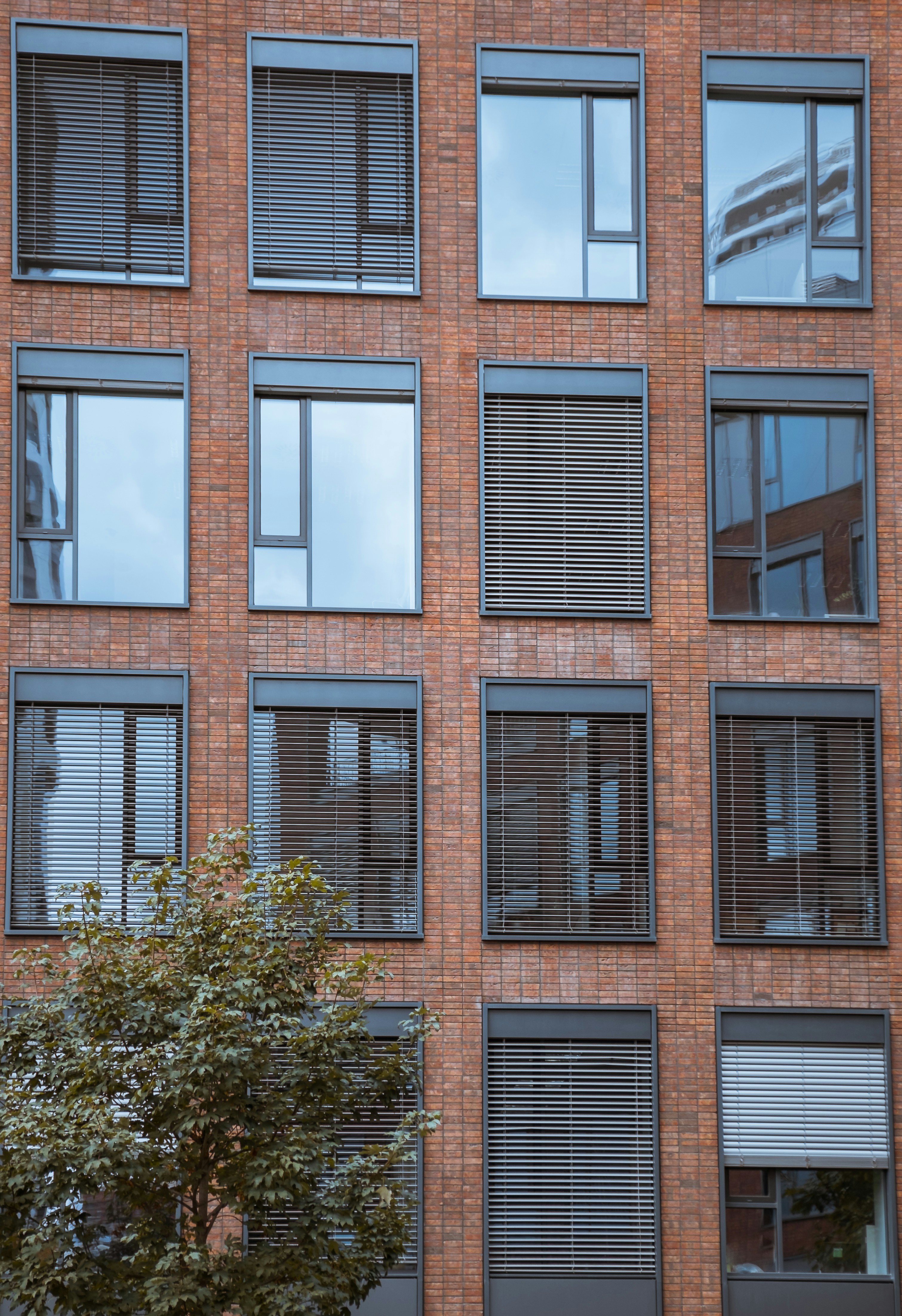 Brick building facade with uniform windows and partially open blinds, juxtaposed with a green leafy tree.