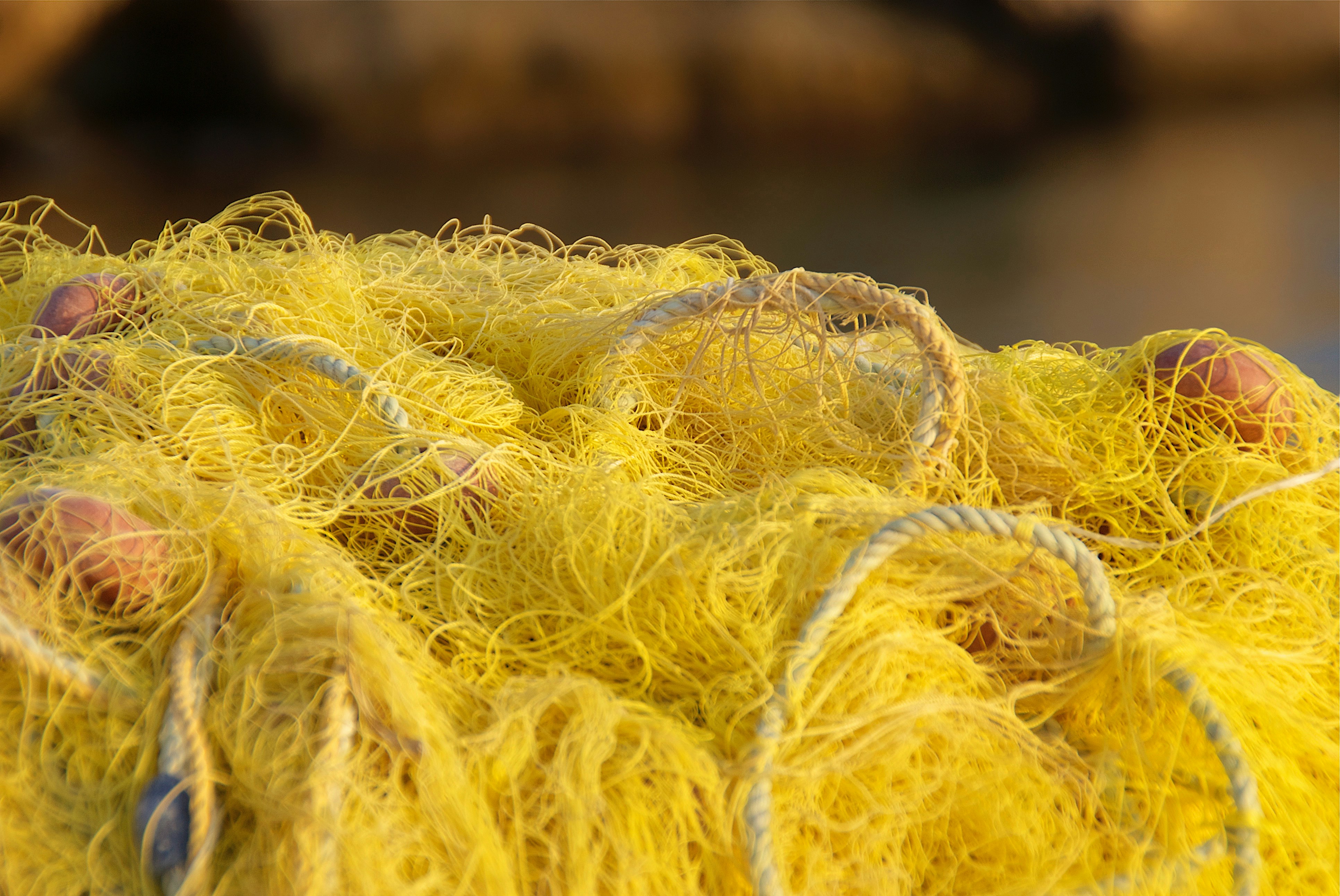 Sunlit Yellow Netting: A Tangle of Fibers by the Harbor