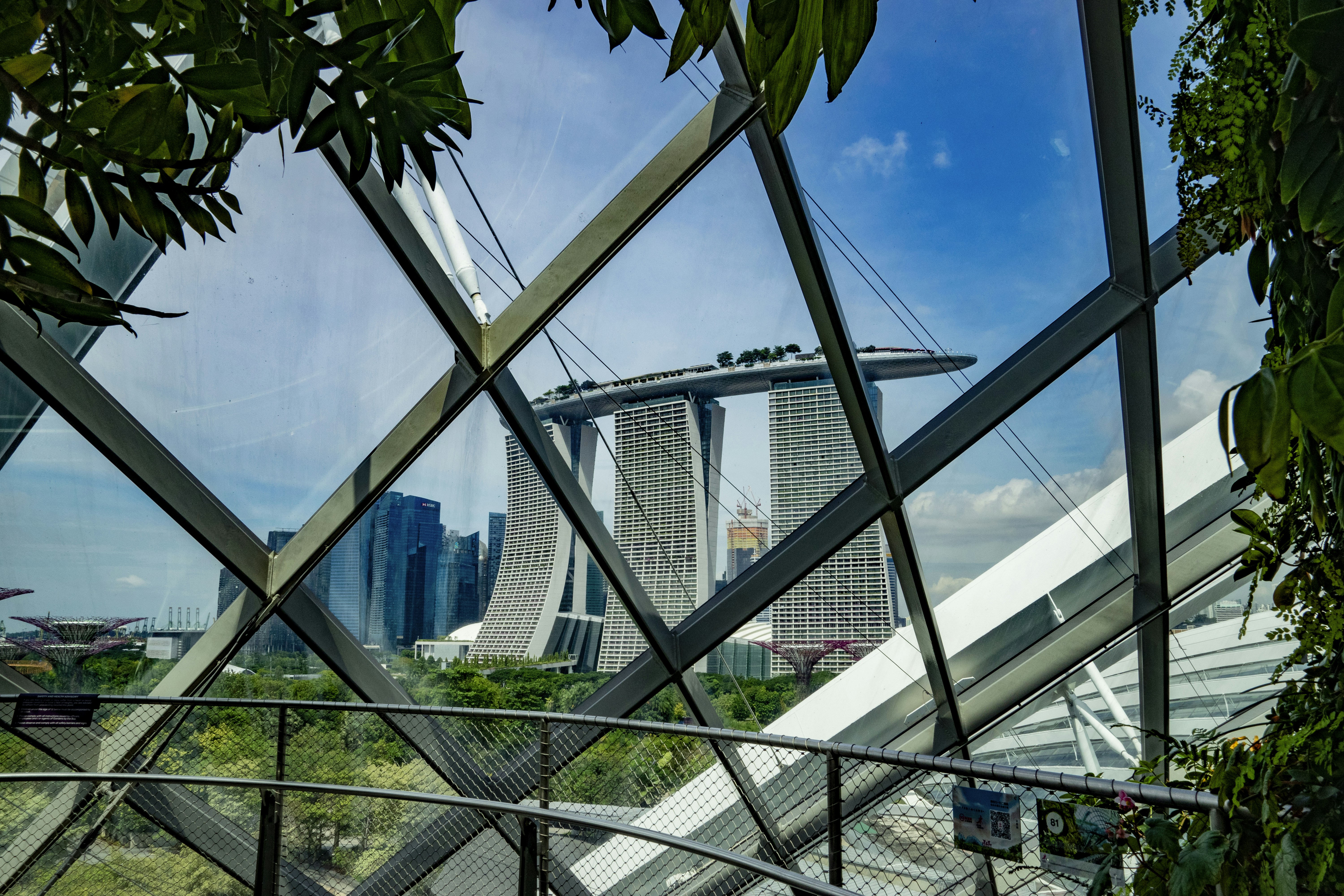 green plant near glass building