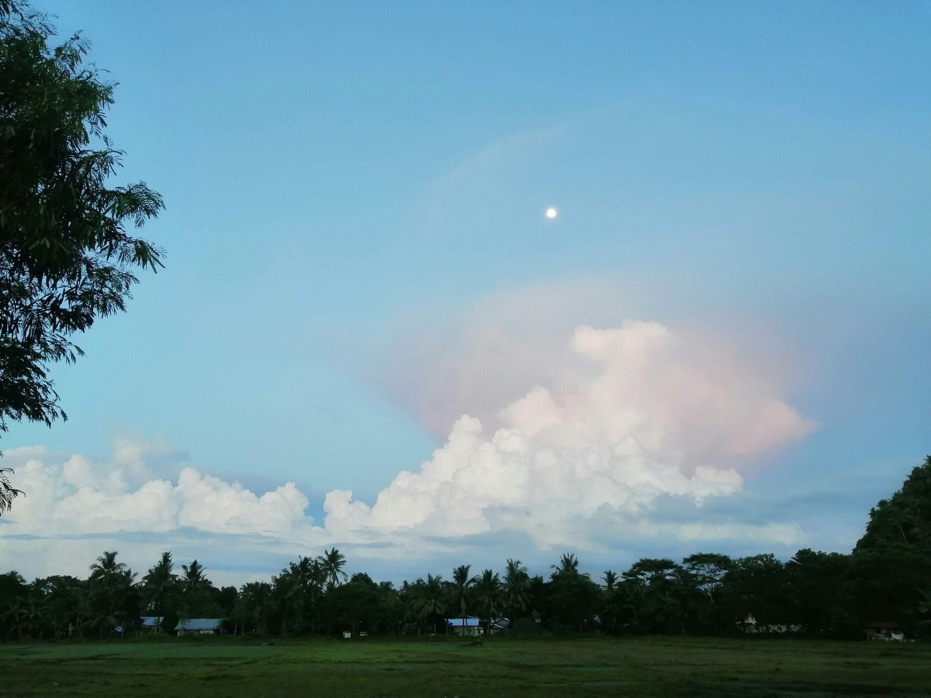 Moon rising above soft pink clouds and a green meadow with silhouetted trees.