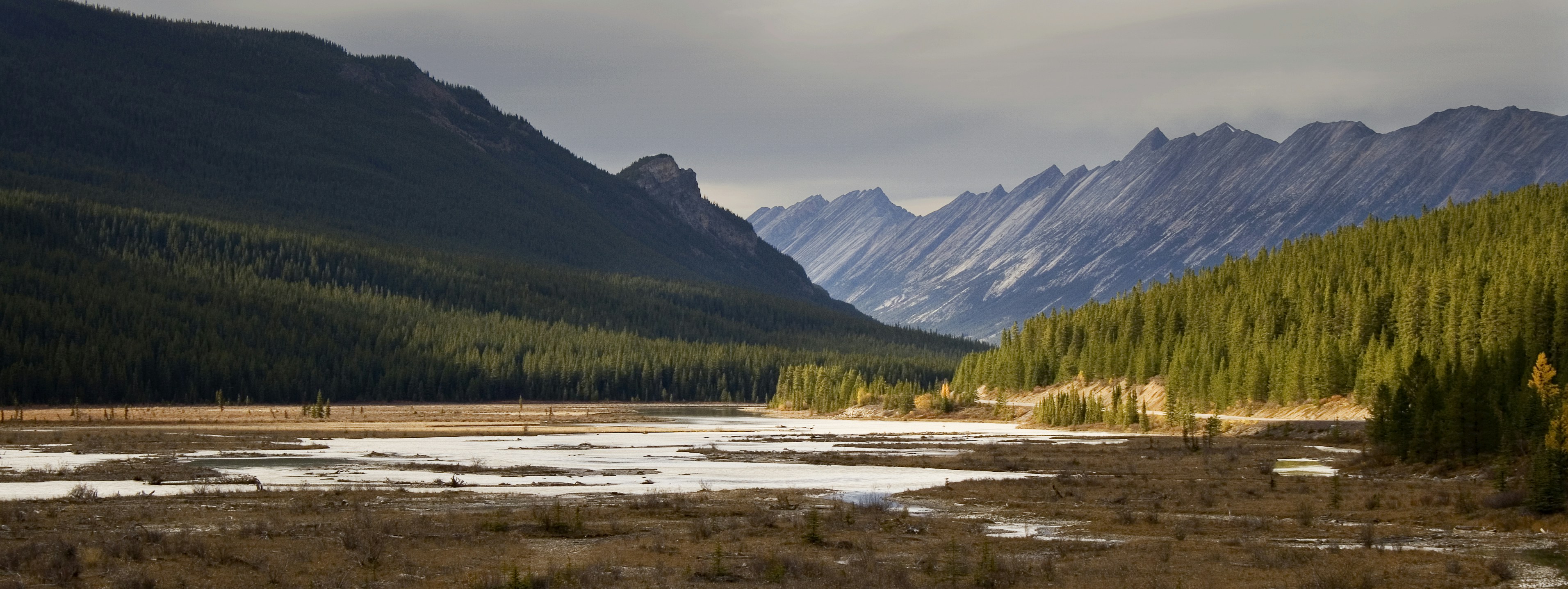 Panoramic vista of Canadian Rockies, on road between Banff and Jasper National Parks