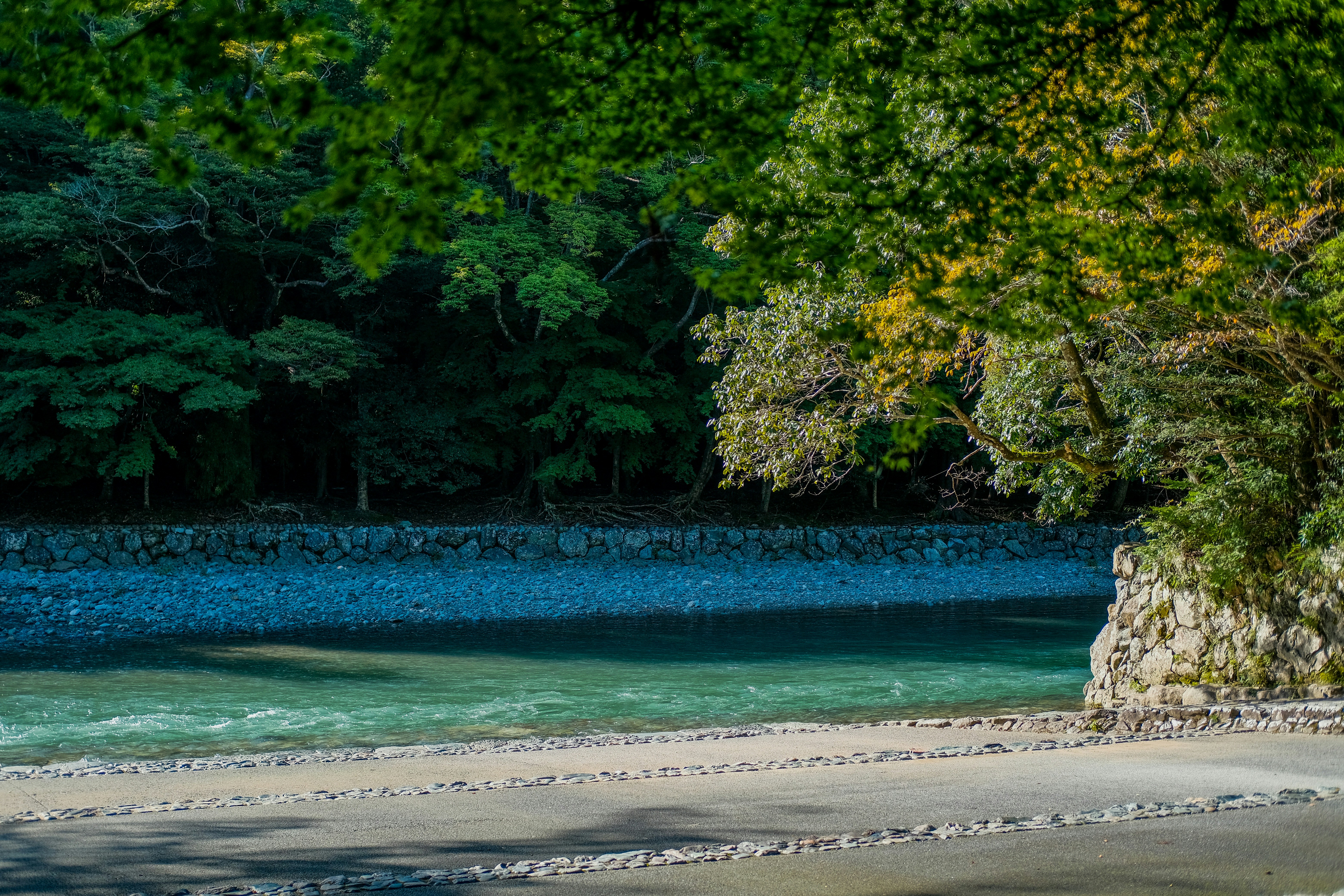 Green trees beside blue body of water during daytime photo – Free Japan ...