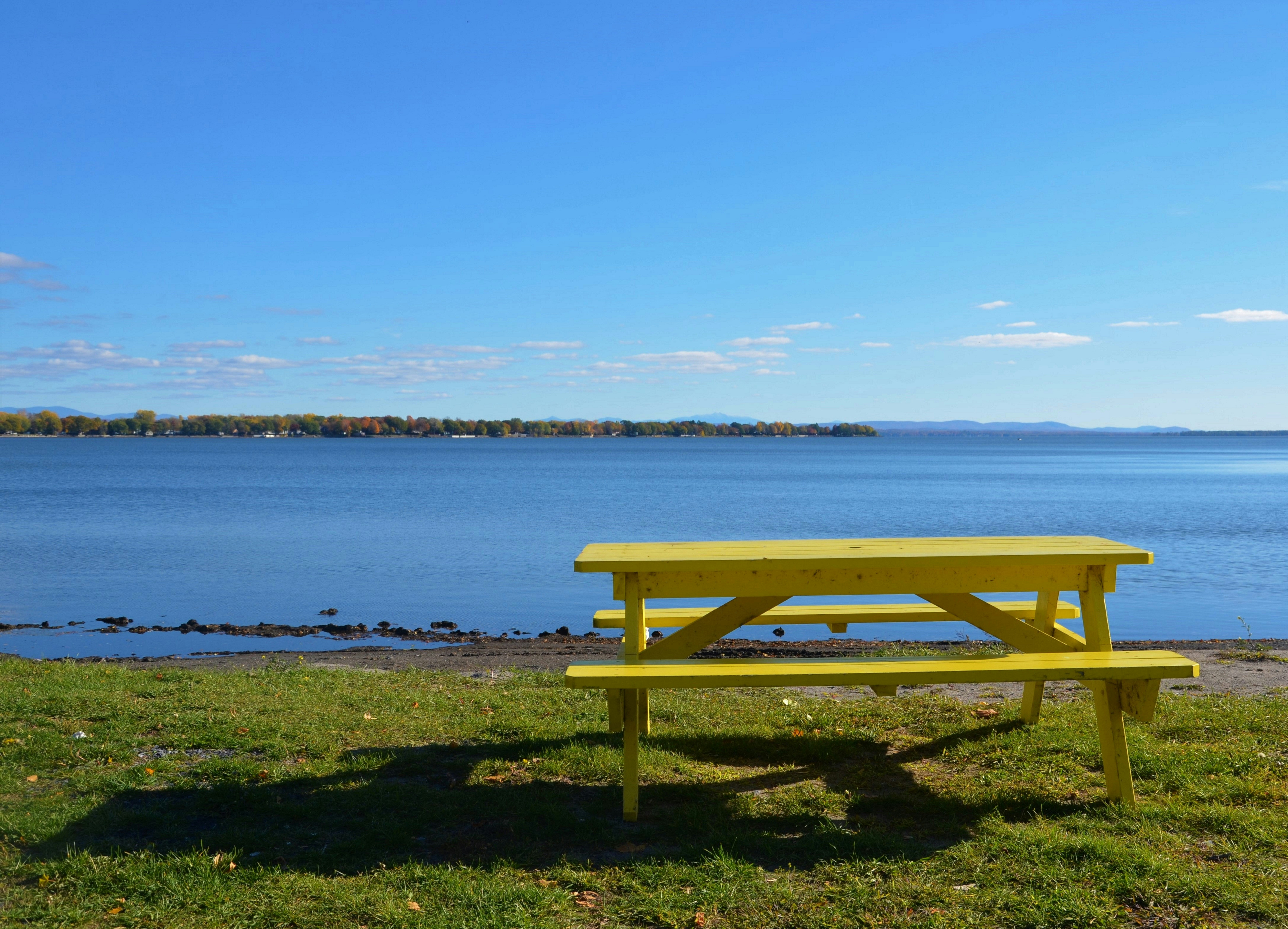 Yellow picnic table on grass by a calm lake under a clear blue sky.