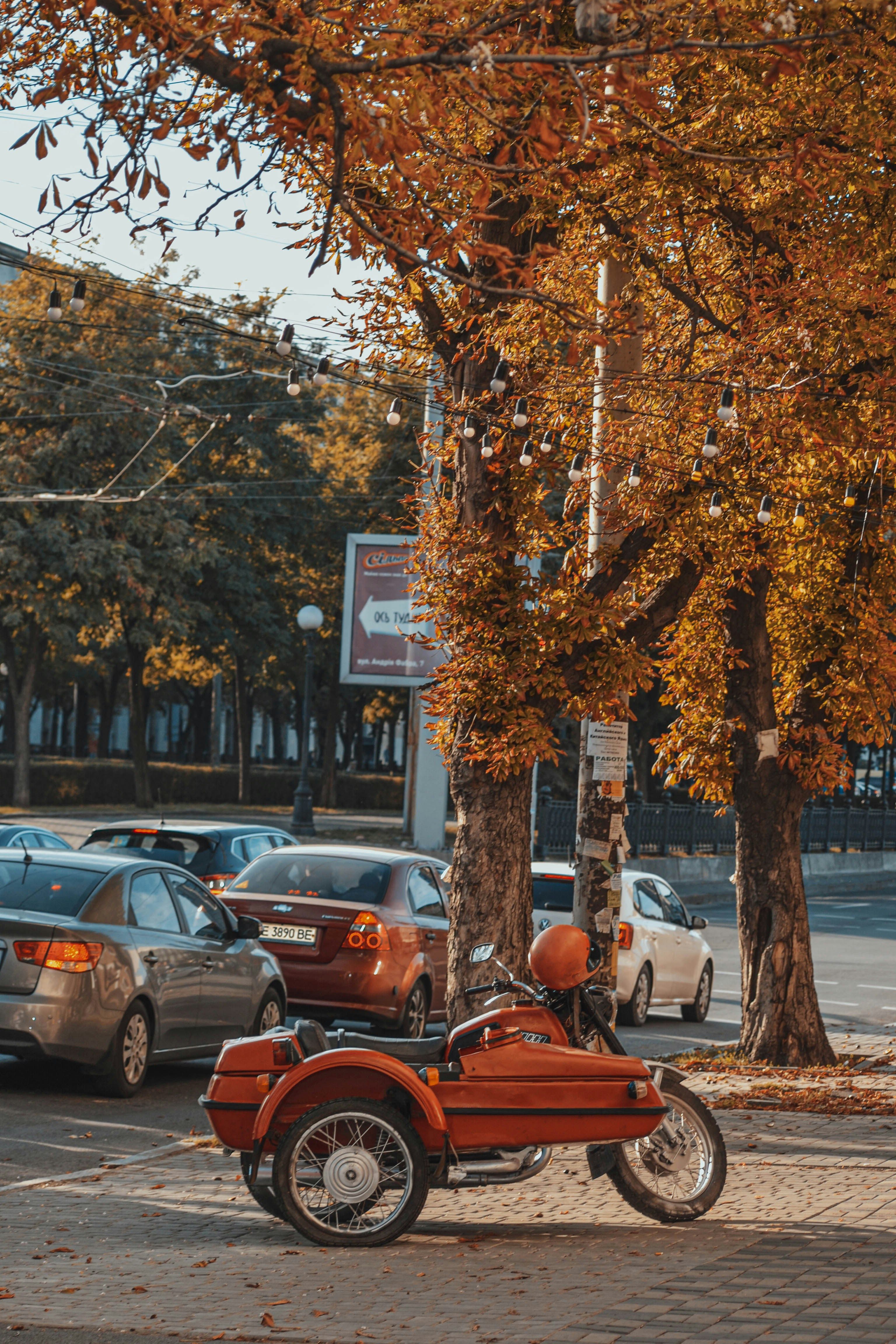 Photo by Victoria Morgan with Nikon D3100