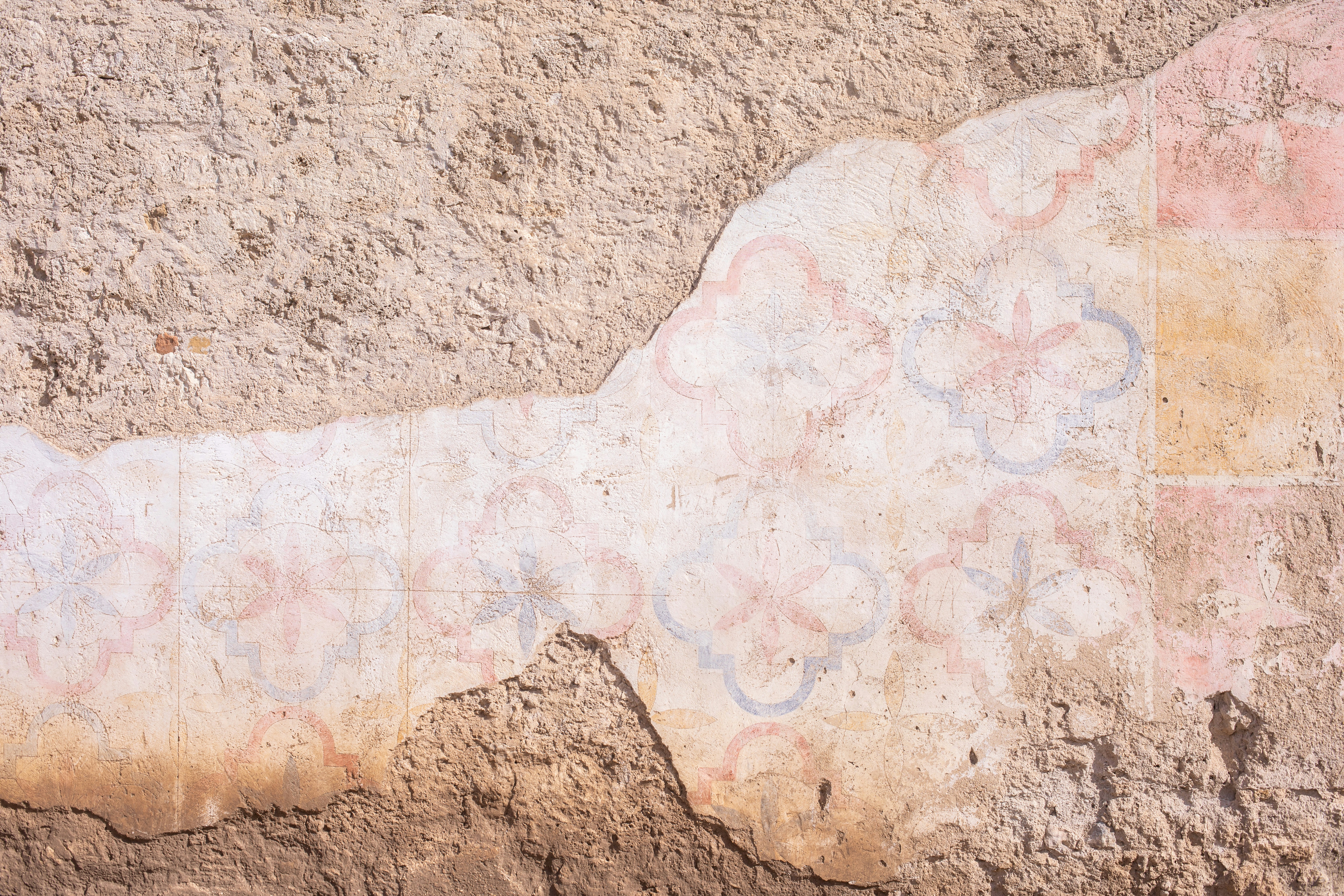 Faded Flora on Cracked Plaster