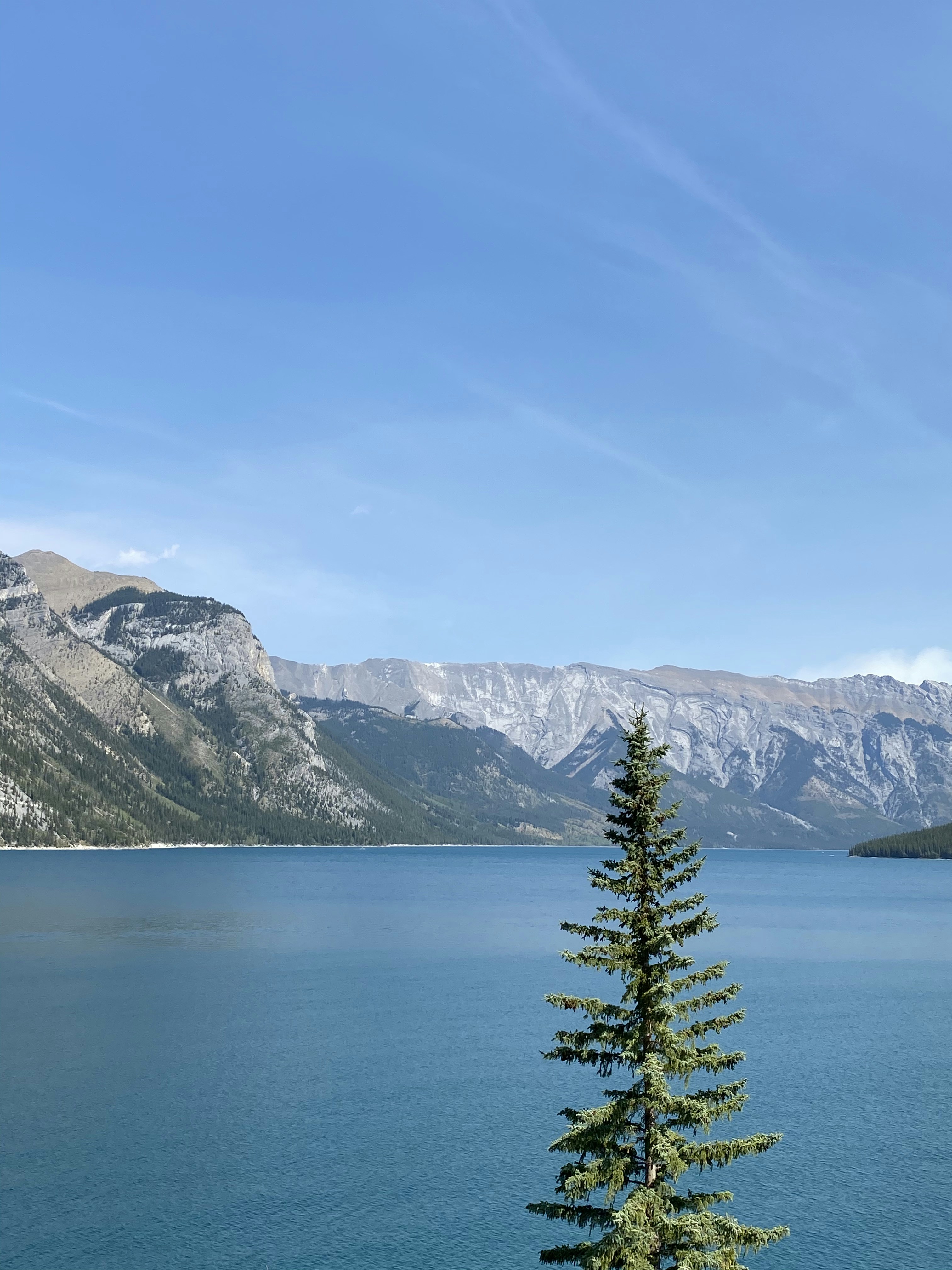 Better Pictures | Download Free Images on Unsplash