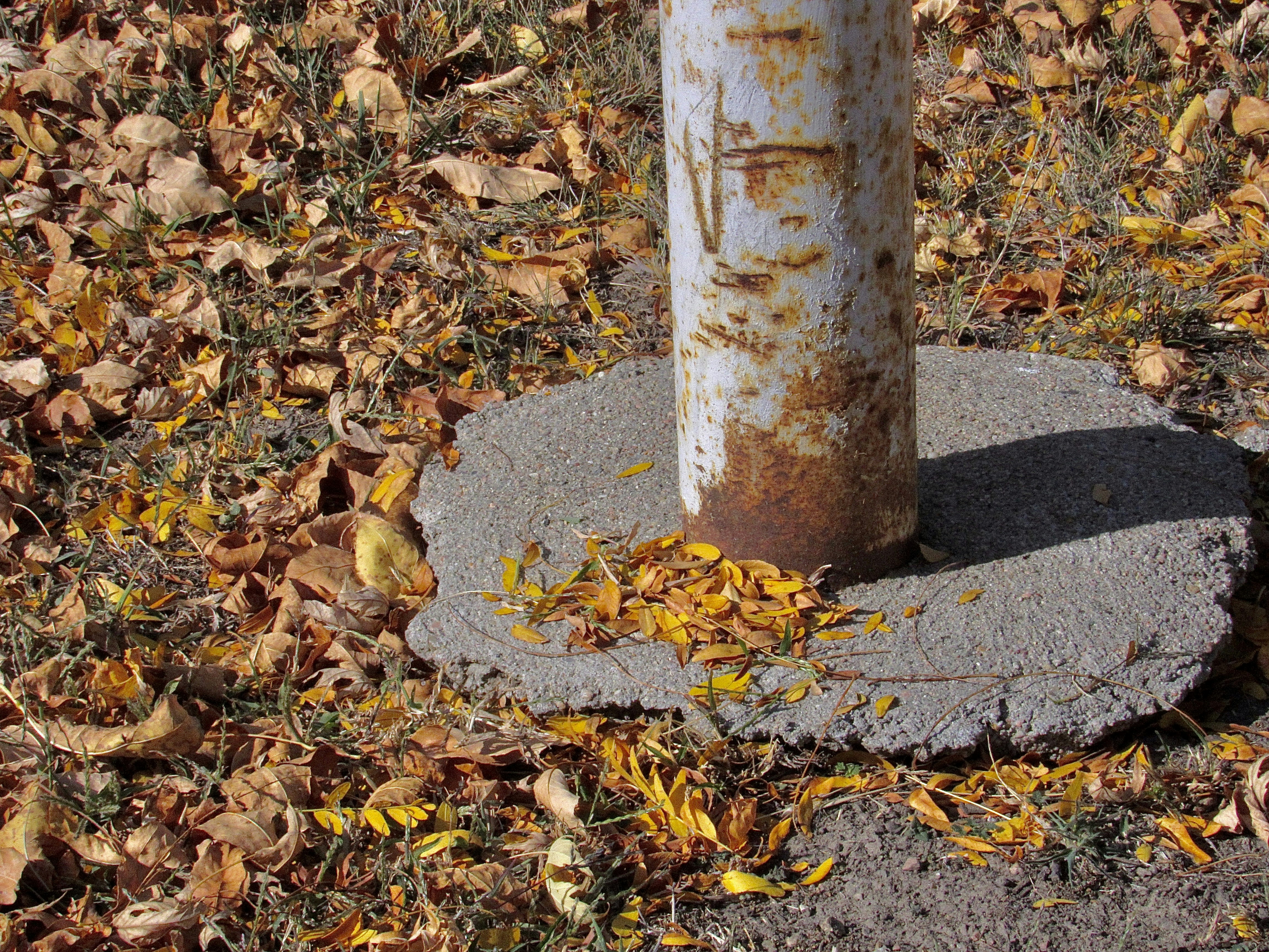 Tim Busch (@timweekly) | Unsplash Photo Community