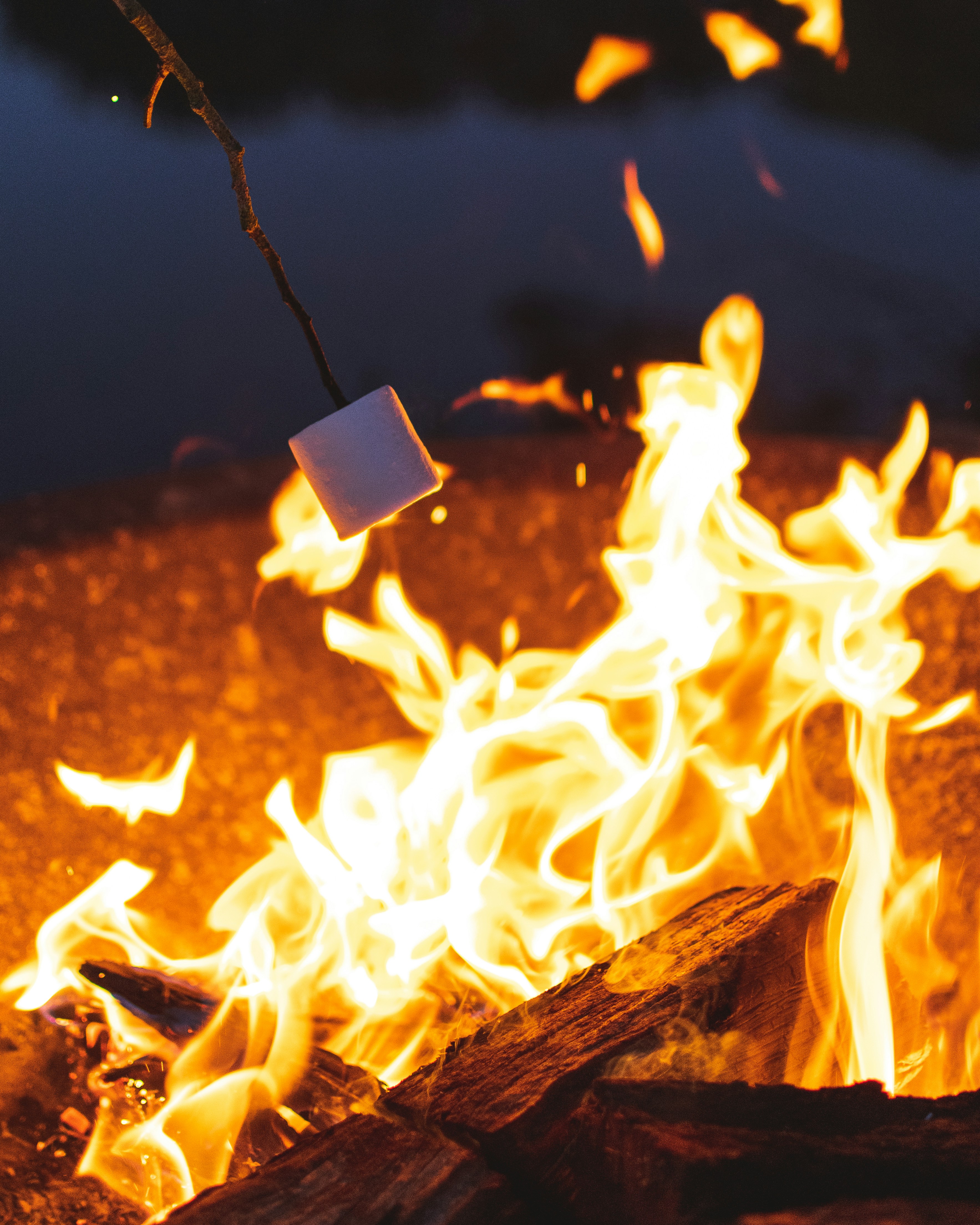 Marshmallows in the Firelight